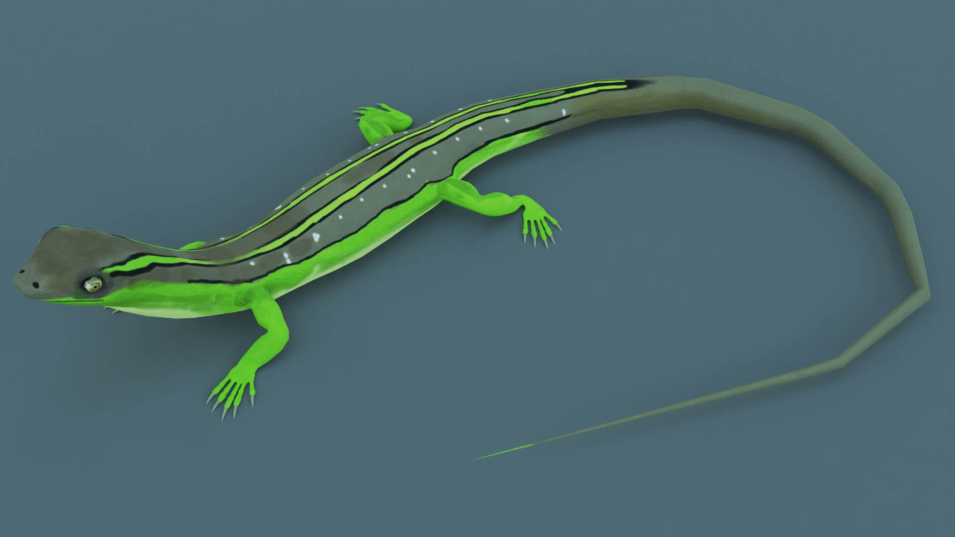 Lizard - 3D Model by sathak
