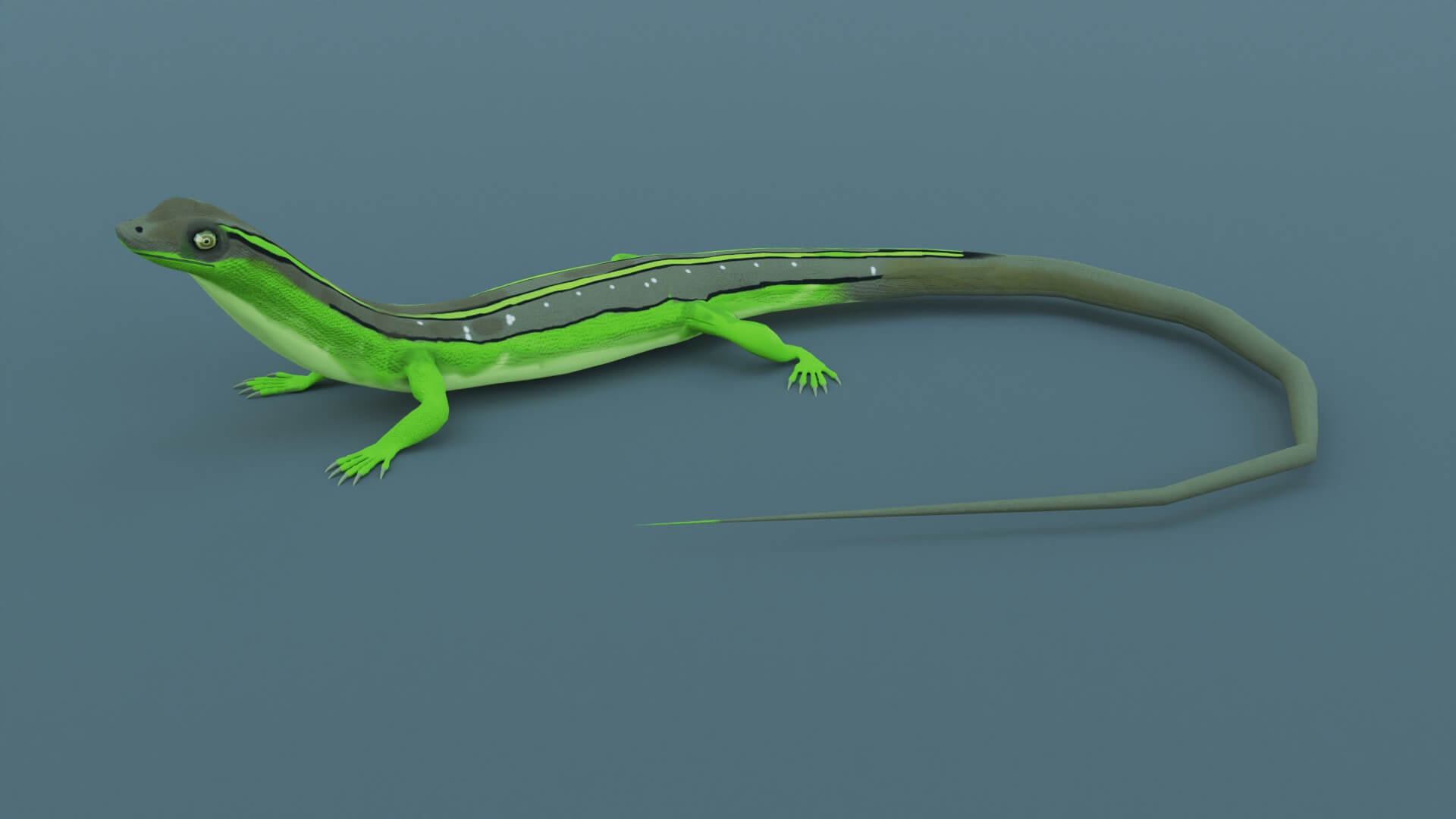 Lizard - 3D Model by sathak