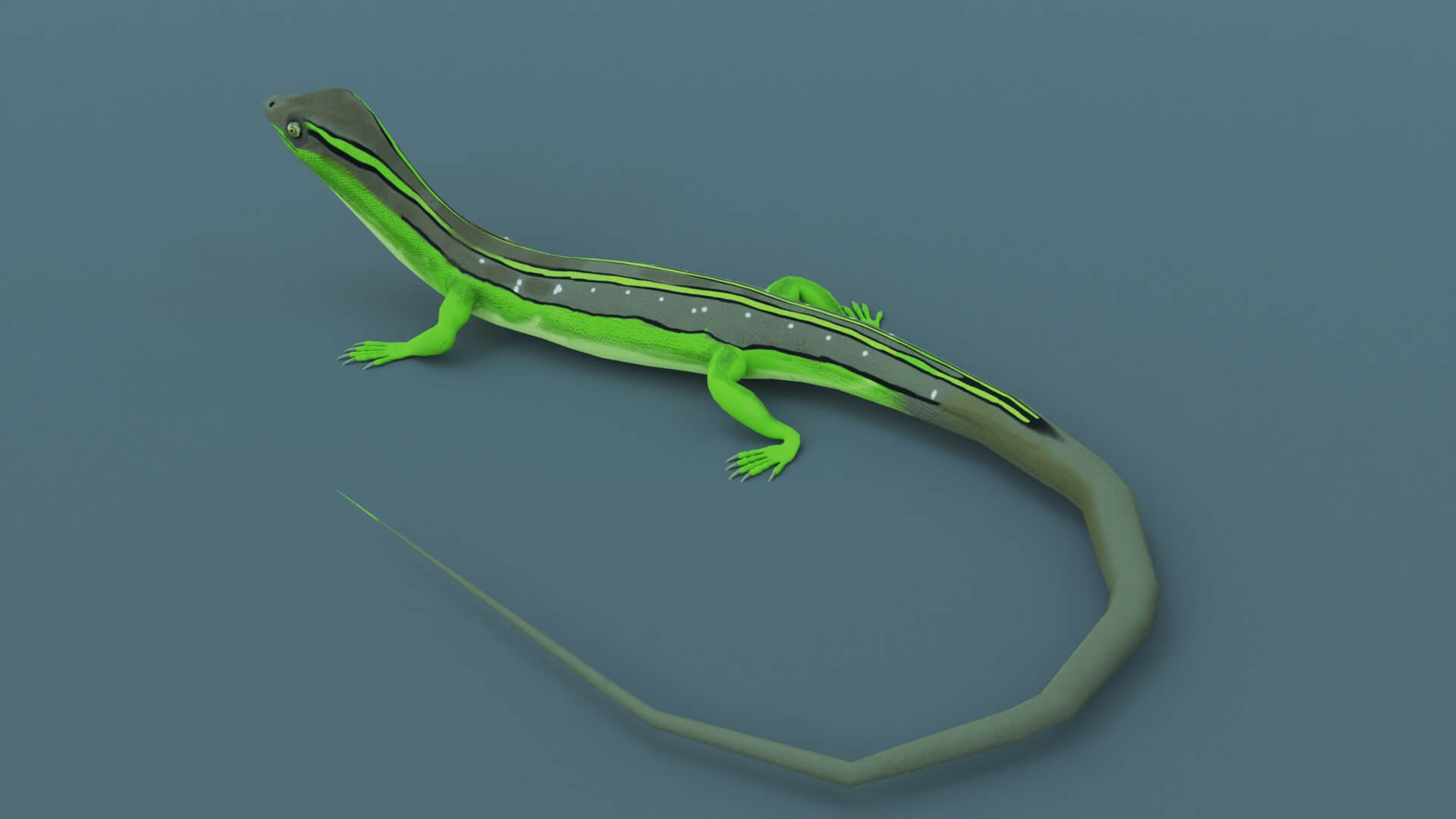 Lizard - 3D Model by sathak