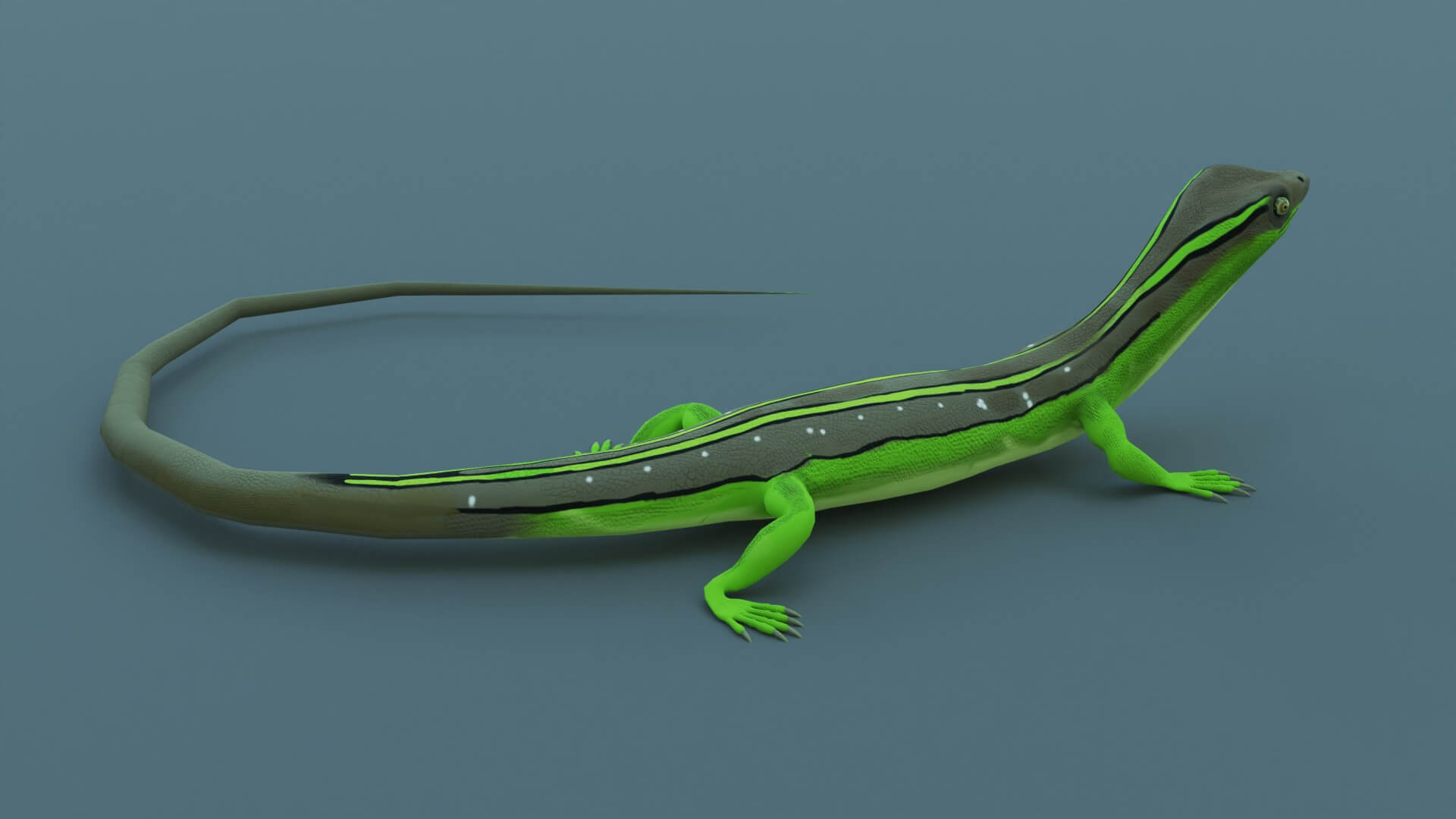 Lizard - 3D Model by sathak