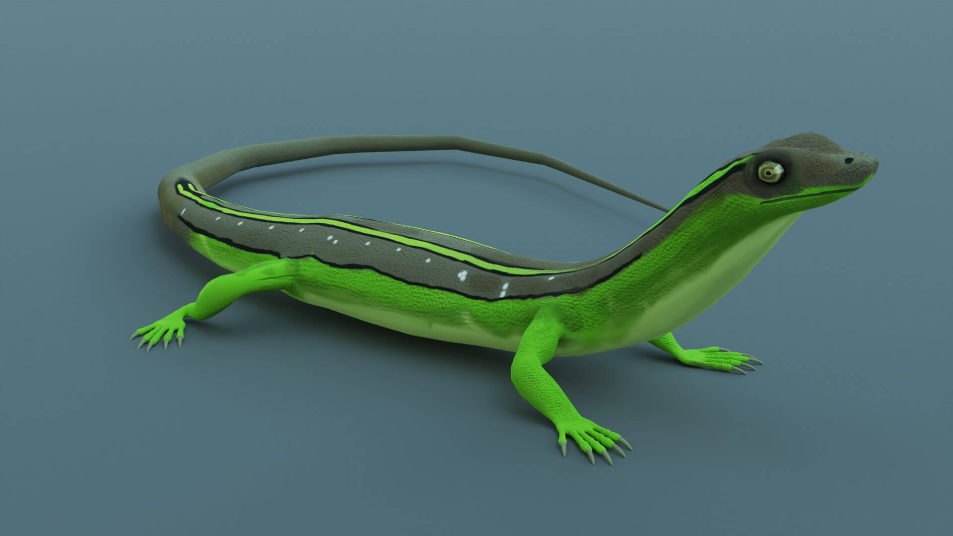 Lizard - 3D Model by sathak