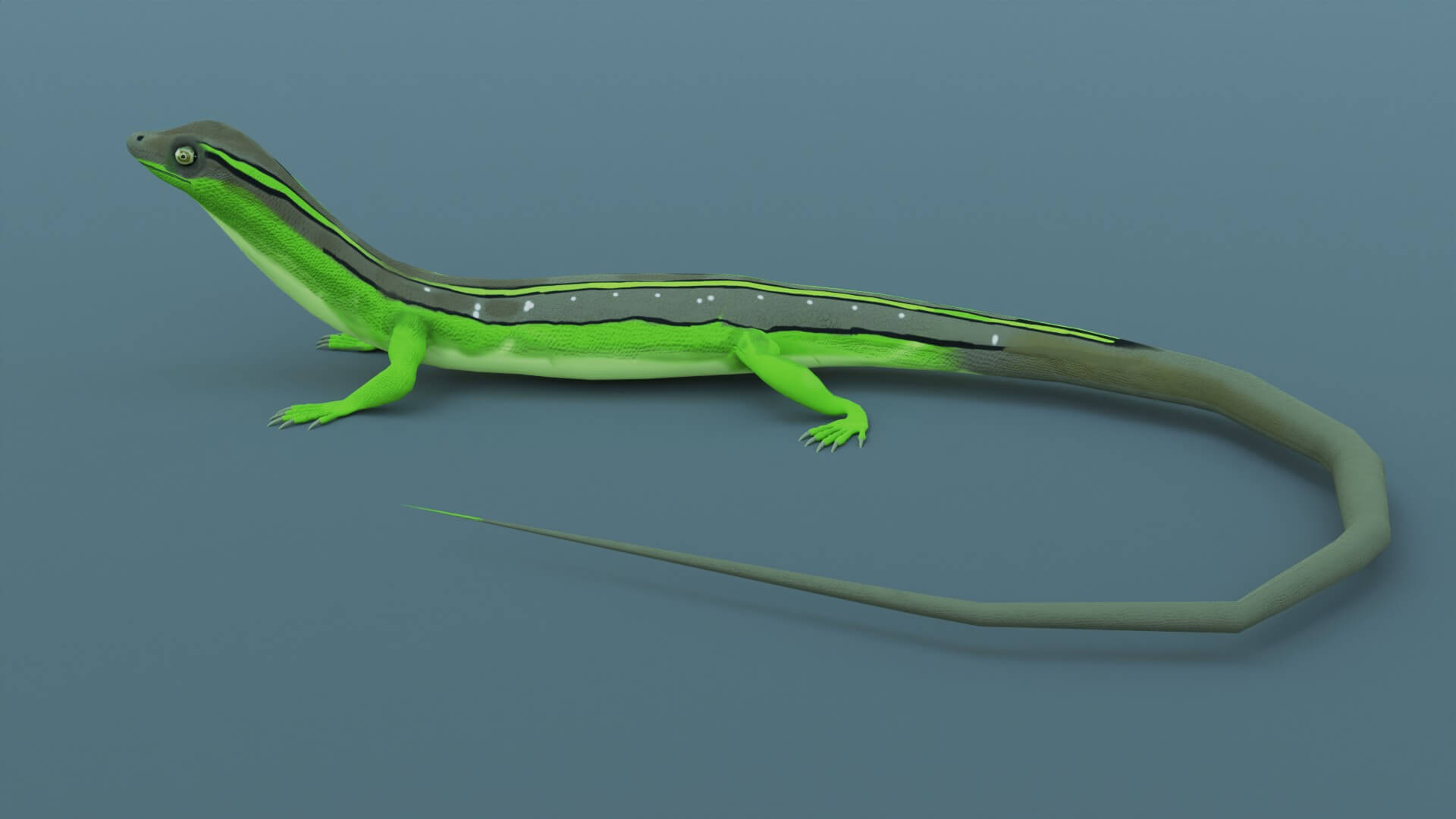 Lizard - 3D Model by sathak