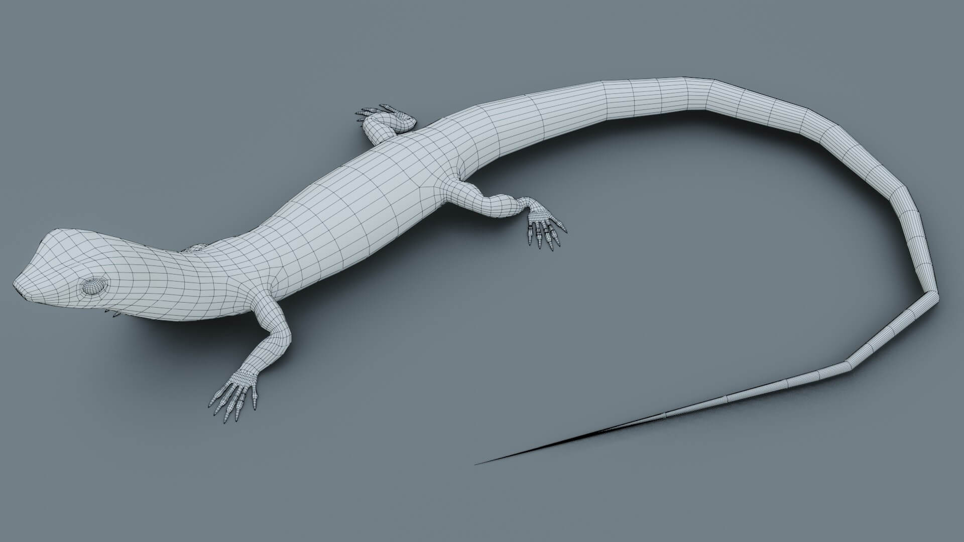 Lizard - 3D Model by sathak