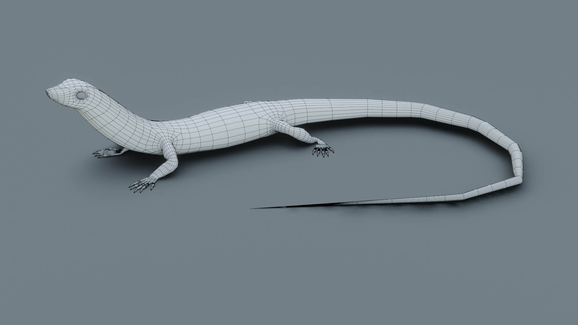 Lizard - 3D Model by sathak