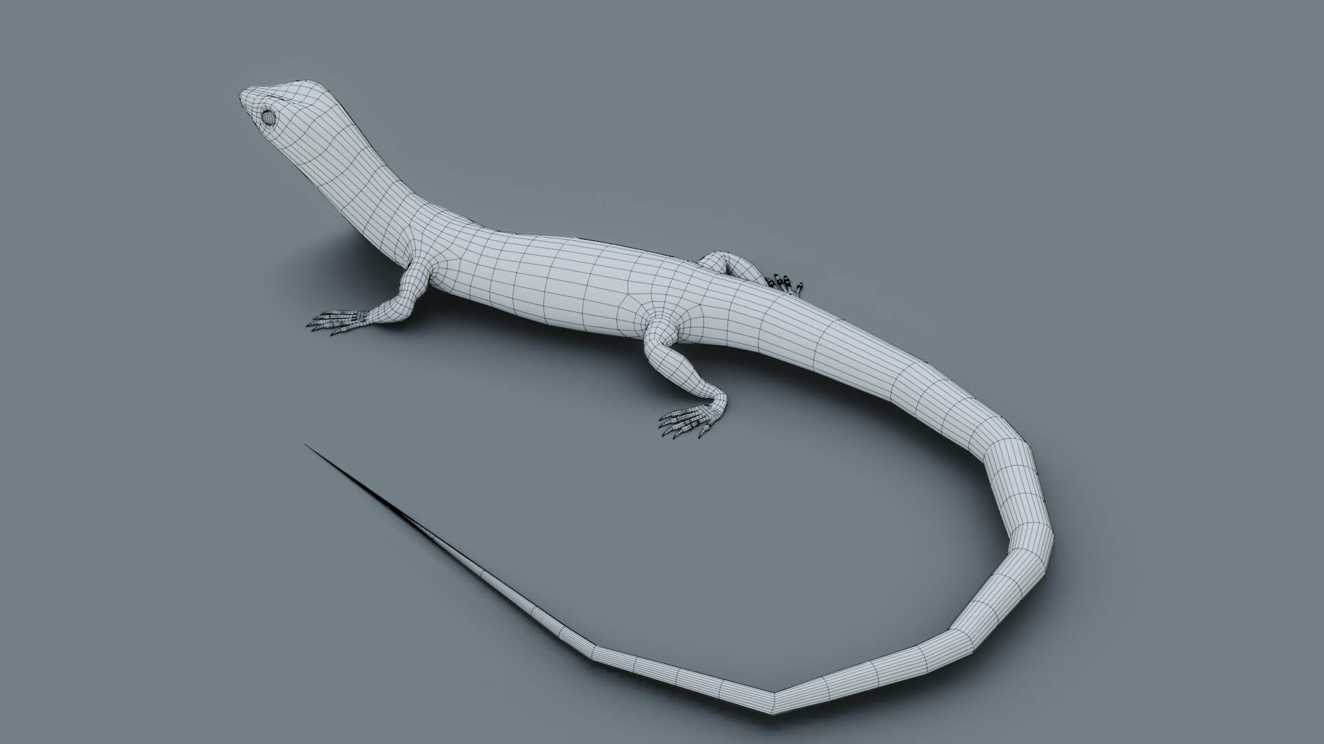 Lizard - 3D Model by sathak