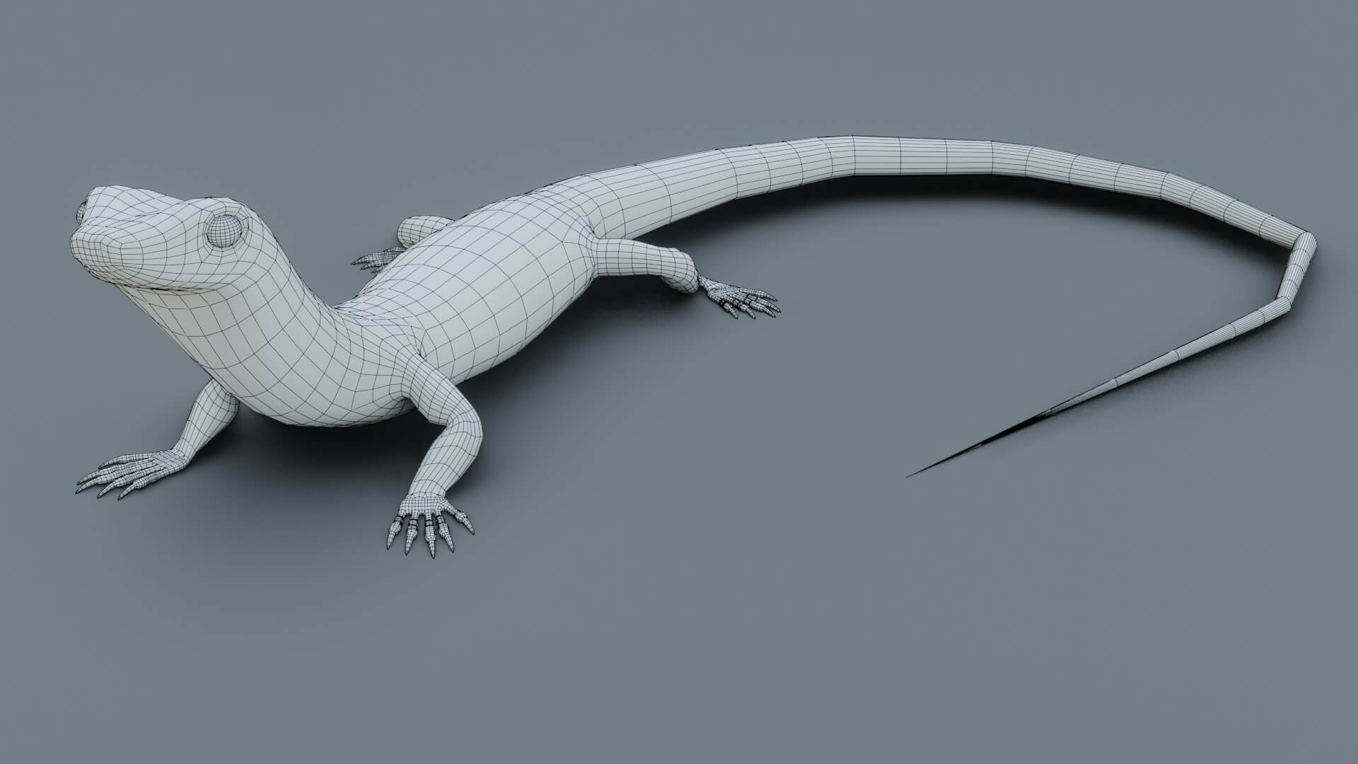 Lizard - 3D Model by sathak