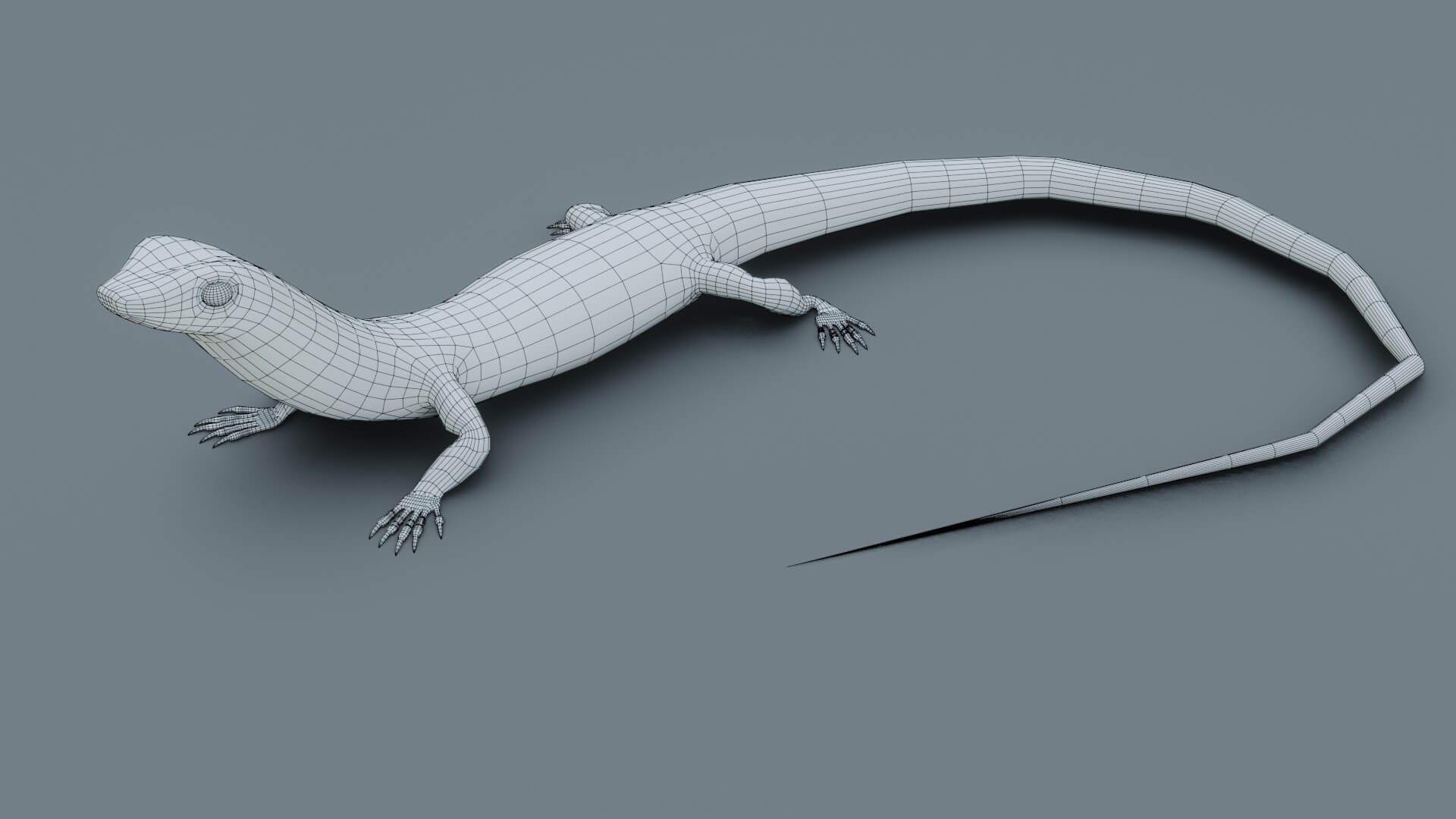 Lizard - 3D Model by sathak