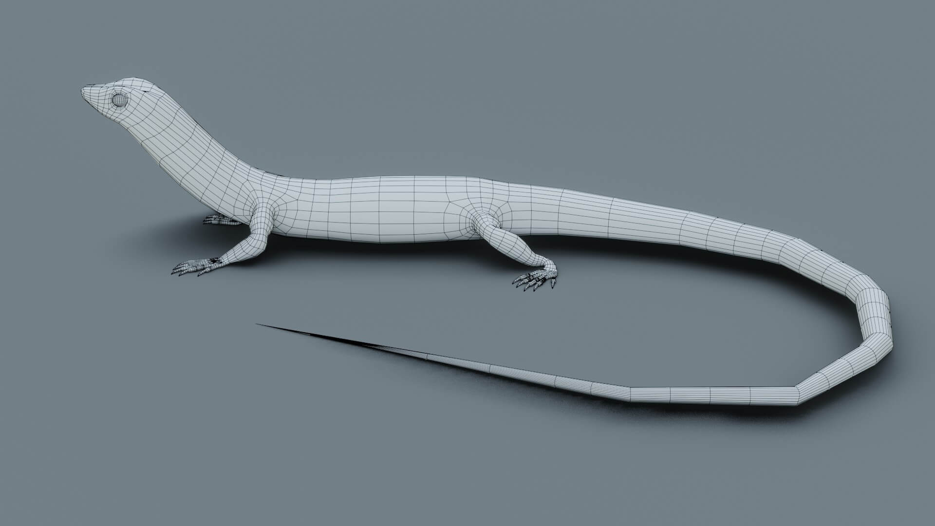 Lizard - 3D Model by sathak
