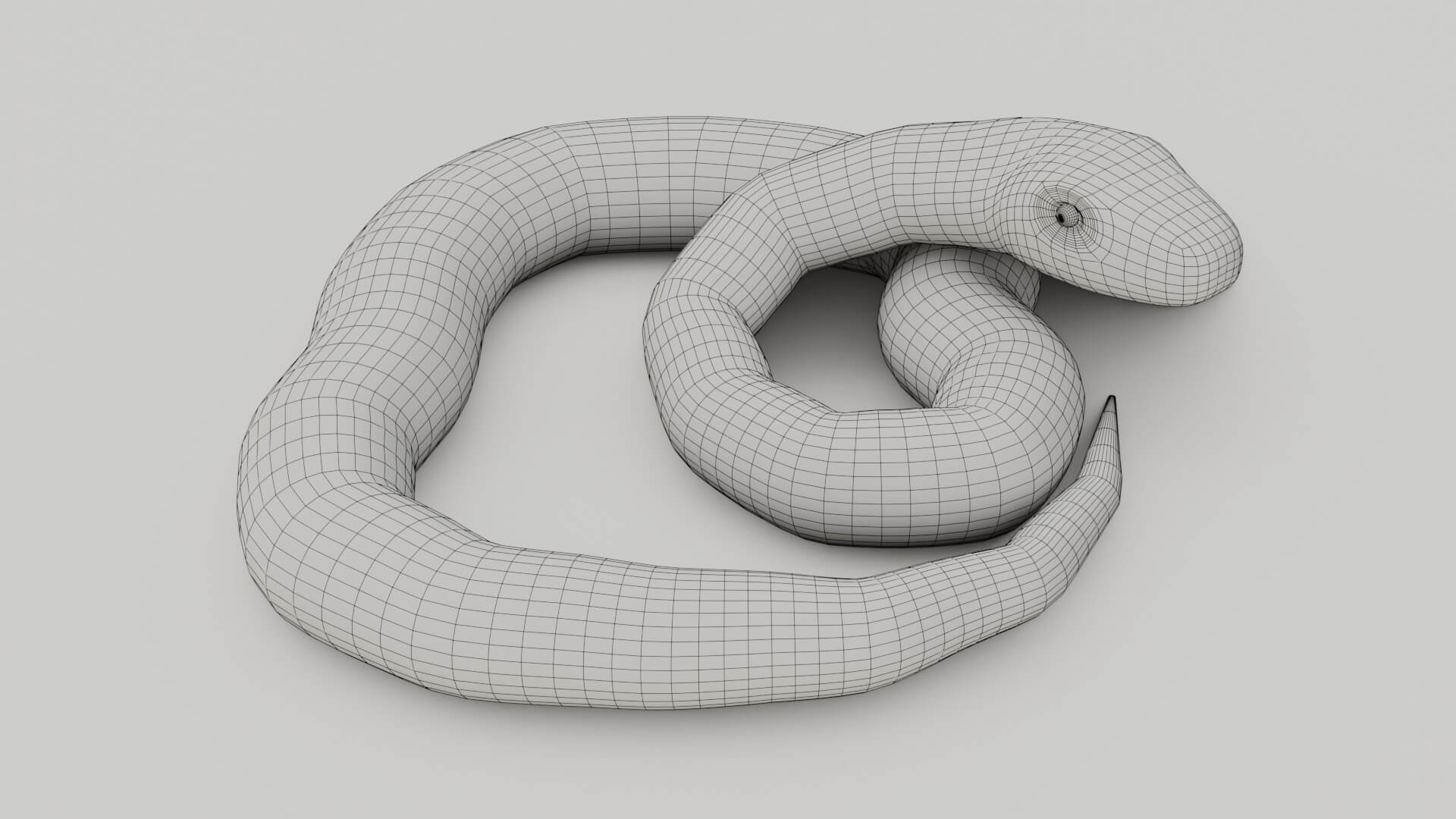 Python Snake - 3D Model by sathak