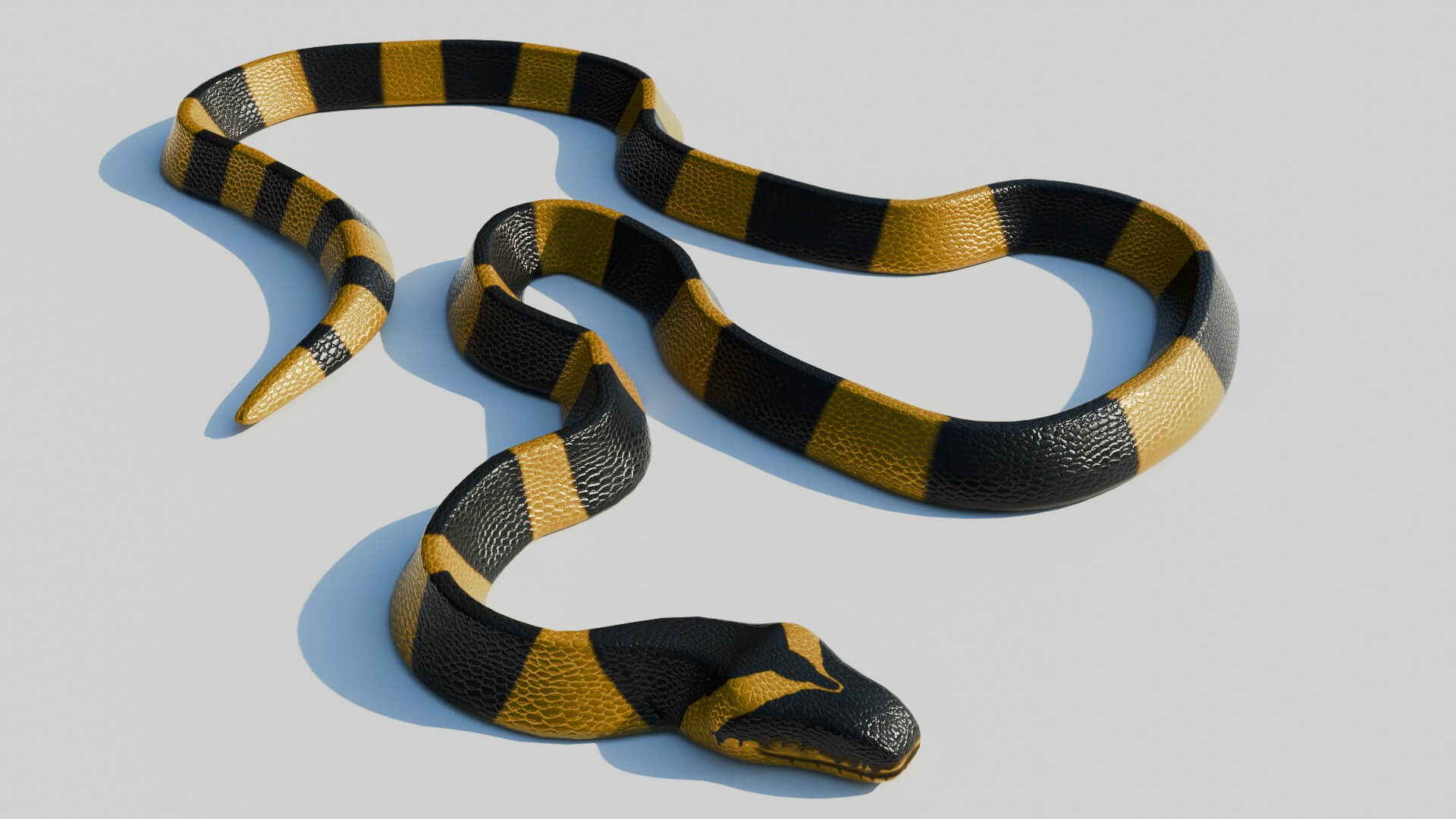 Rigged Banded Krait - 3D Model by sathak