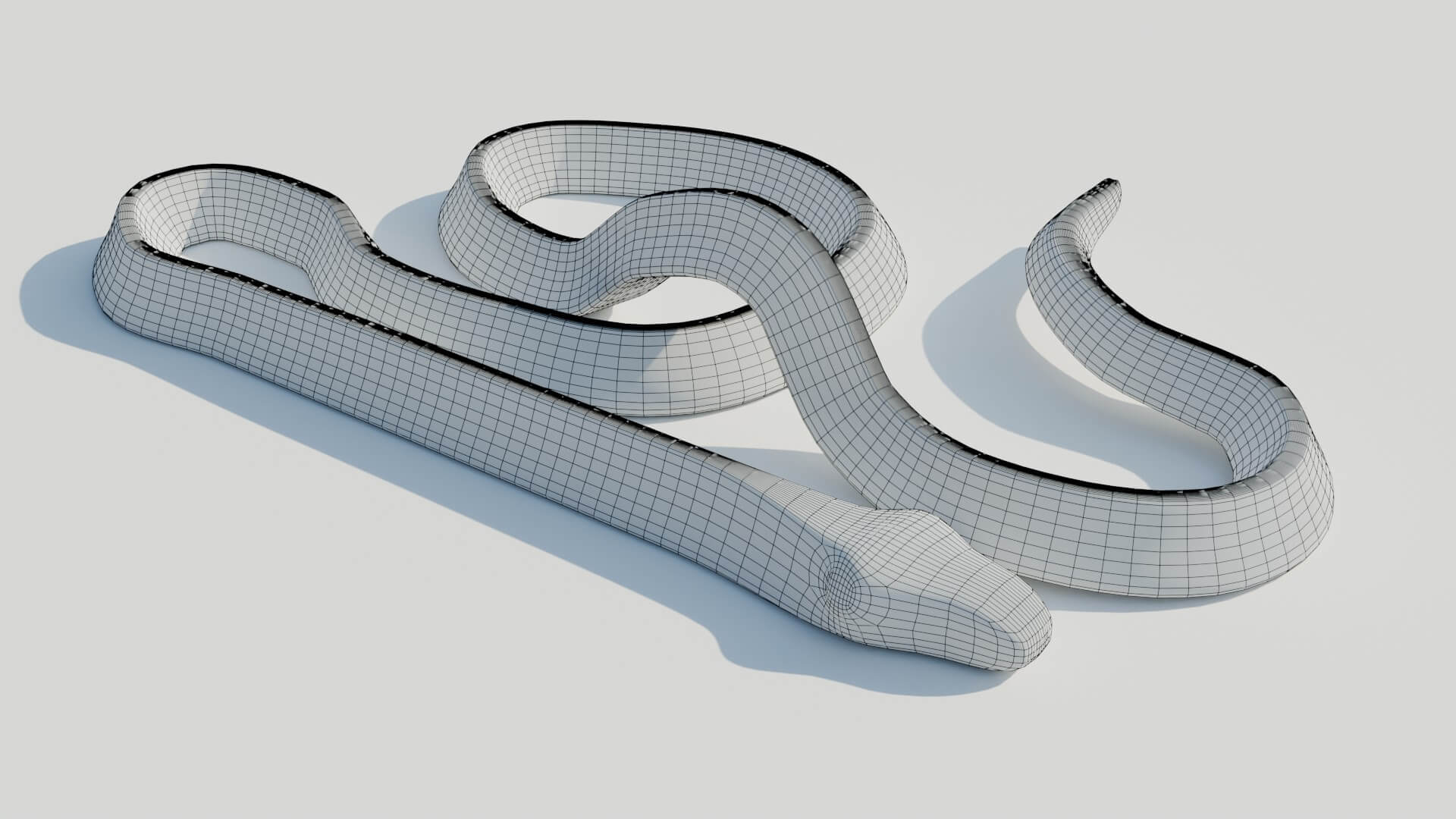 Rigged Banded Krait - 3D Model by sathak