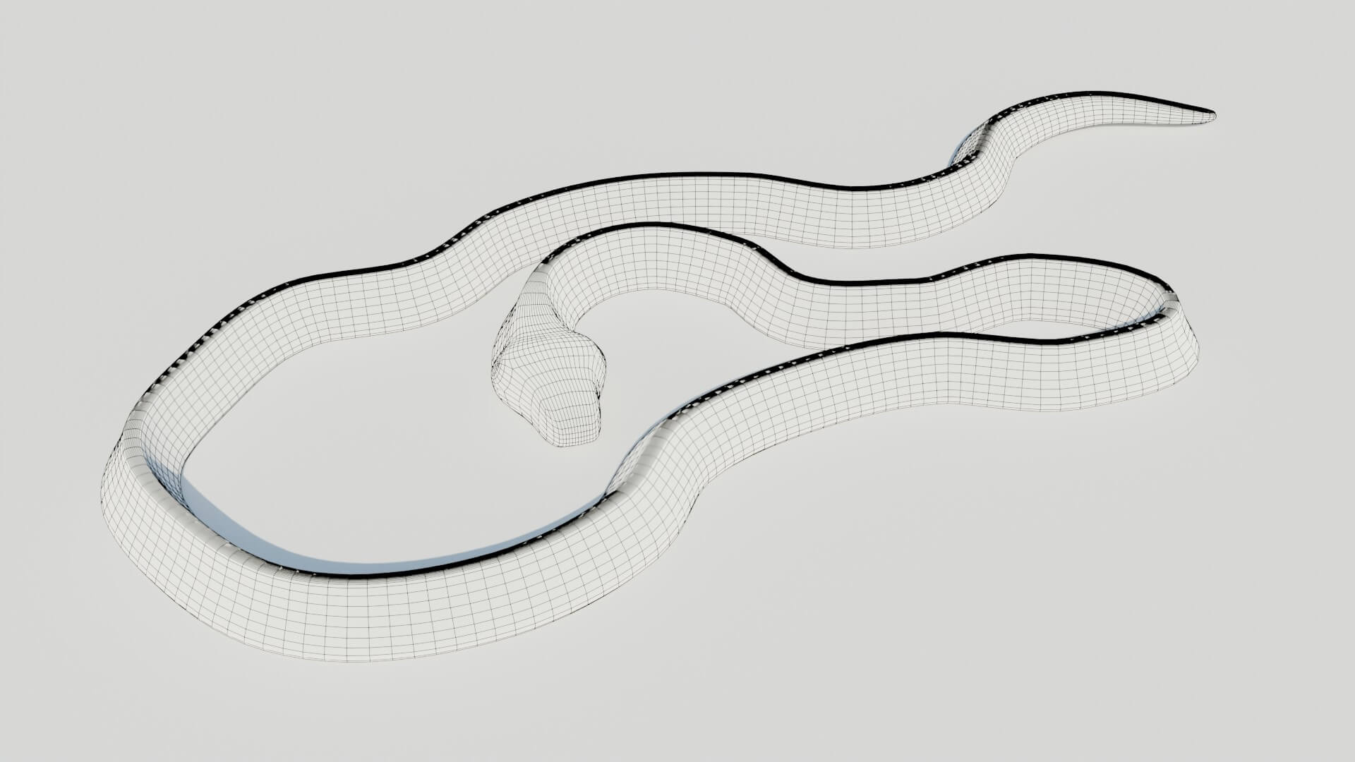 Rigged Banded Krait - 3D Model by sathak