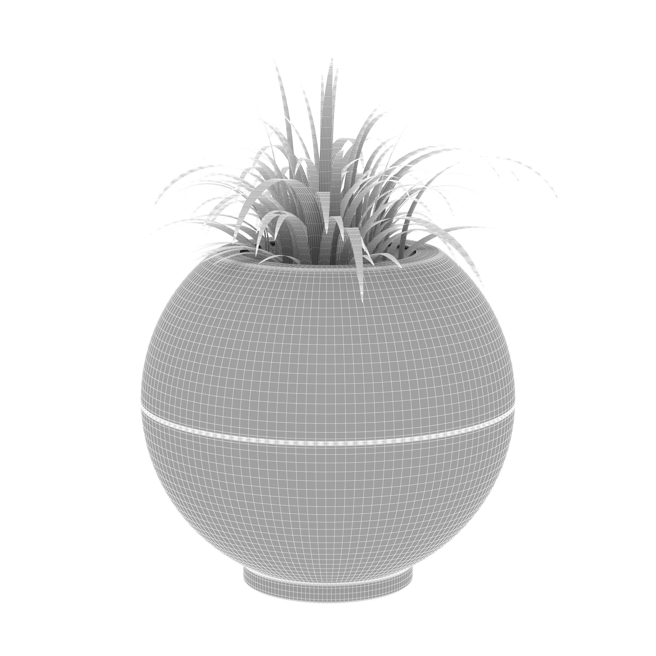 Flowerpot Shar 2 - 3D Model by SAVDeveloper