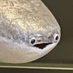 3D Render Gallery by scabambaspis at RenderHub