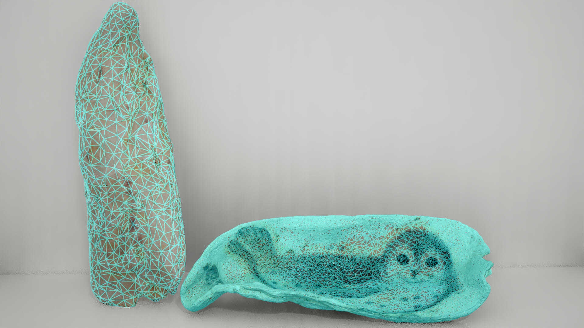 Painted Shell - Free 3D Model by Scan Kraft