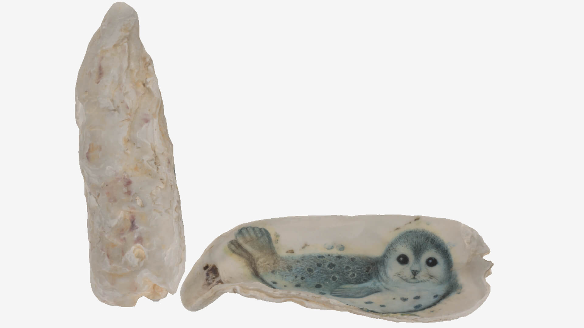 Painted Shell - 3D Model by Scan Kraft