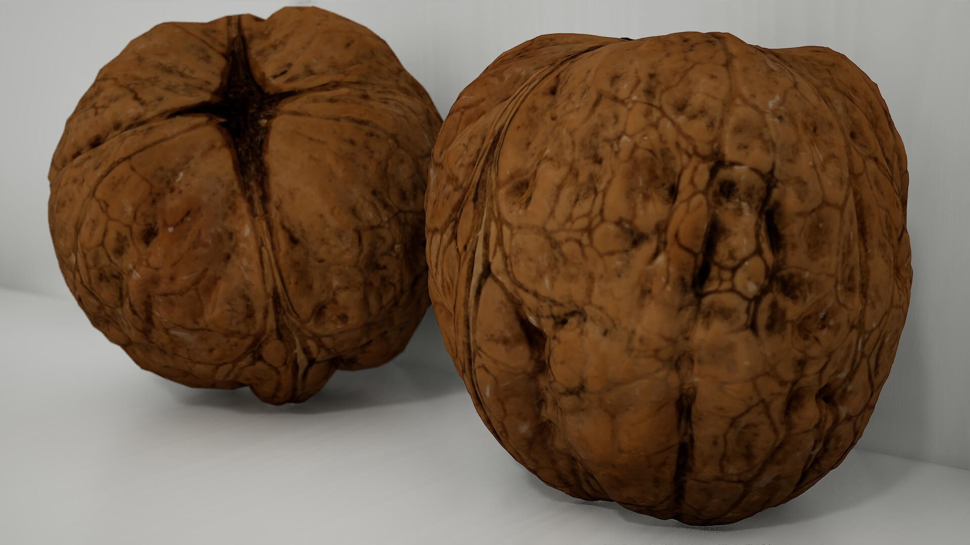 Walnut (Scanned) - Free 3D Model by Scan Kraft