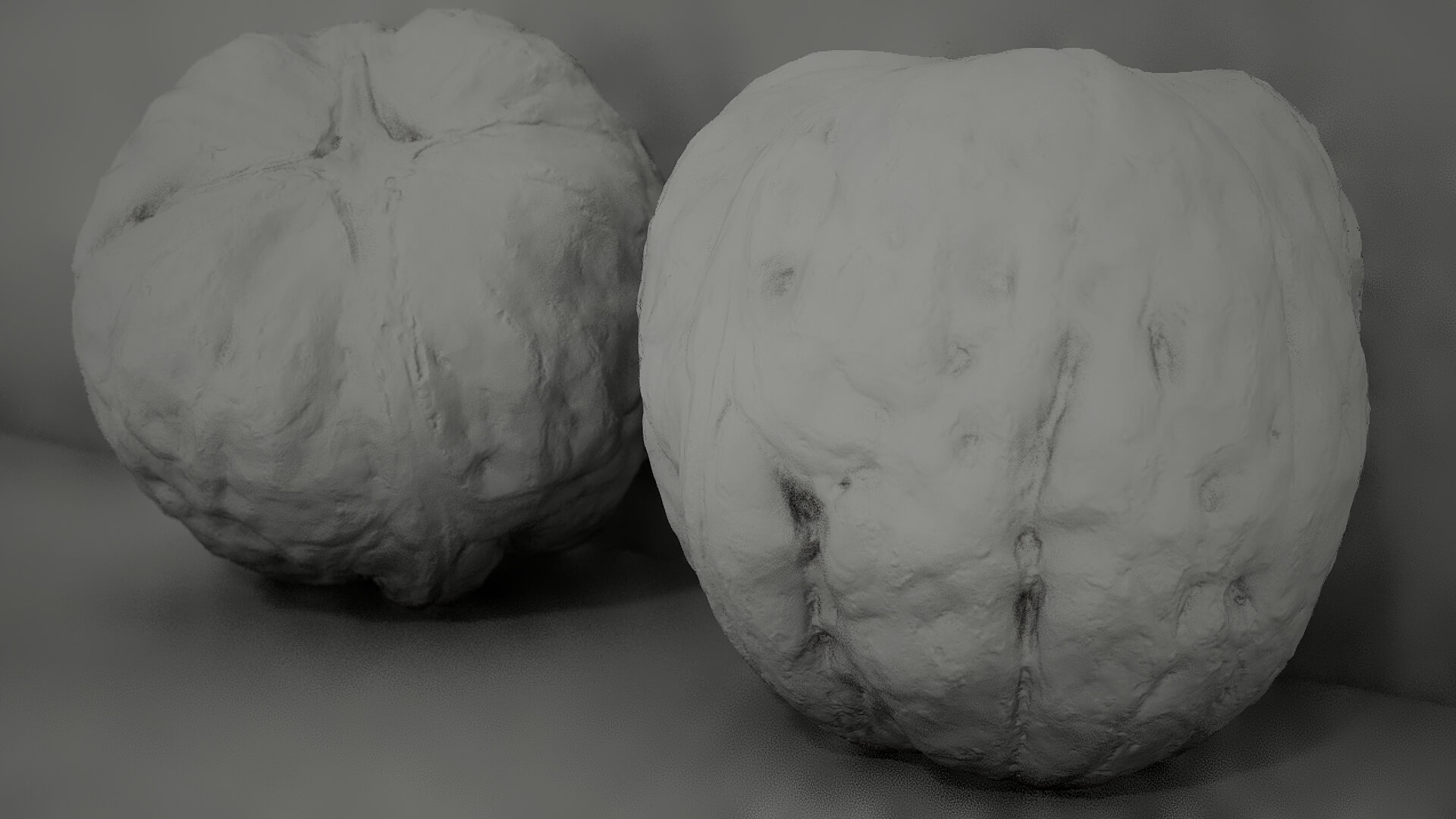 Walnut (Scanned) - Free 3D Model by Scan Kraft