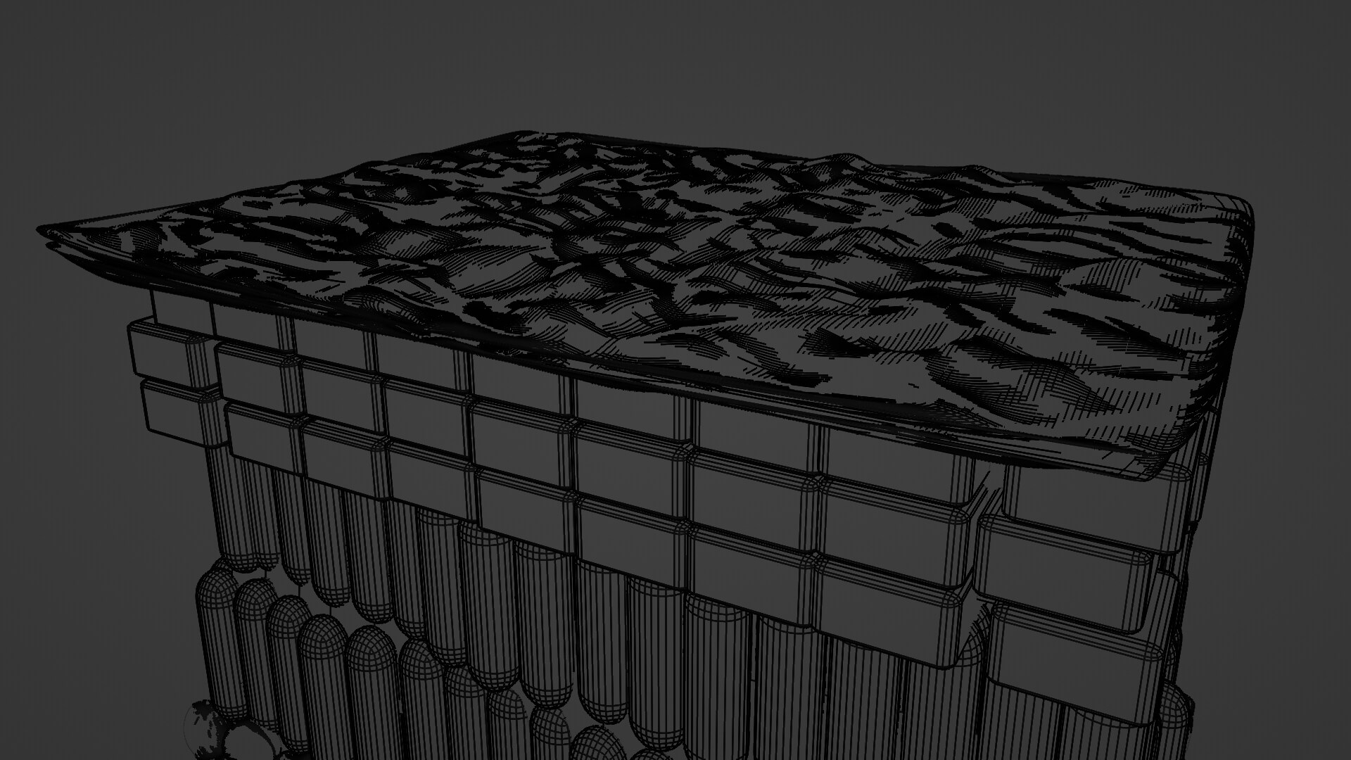 Cross Section of Leaf - 3D Model by scienceanimation