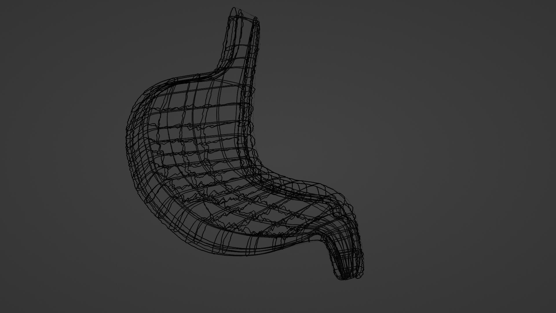 Anatomy of Stomach - 3D Model by scienceanimation