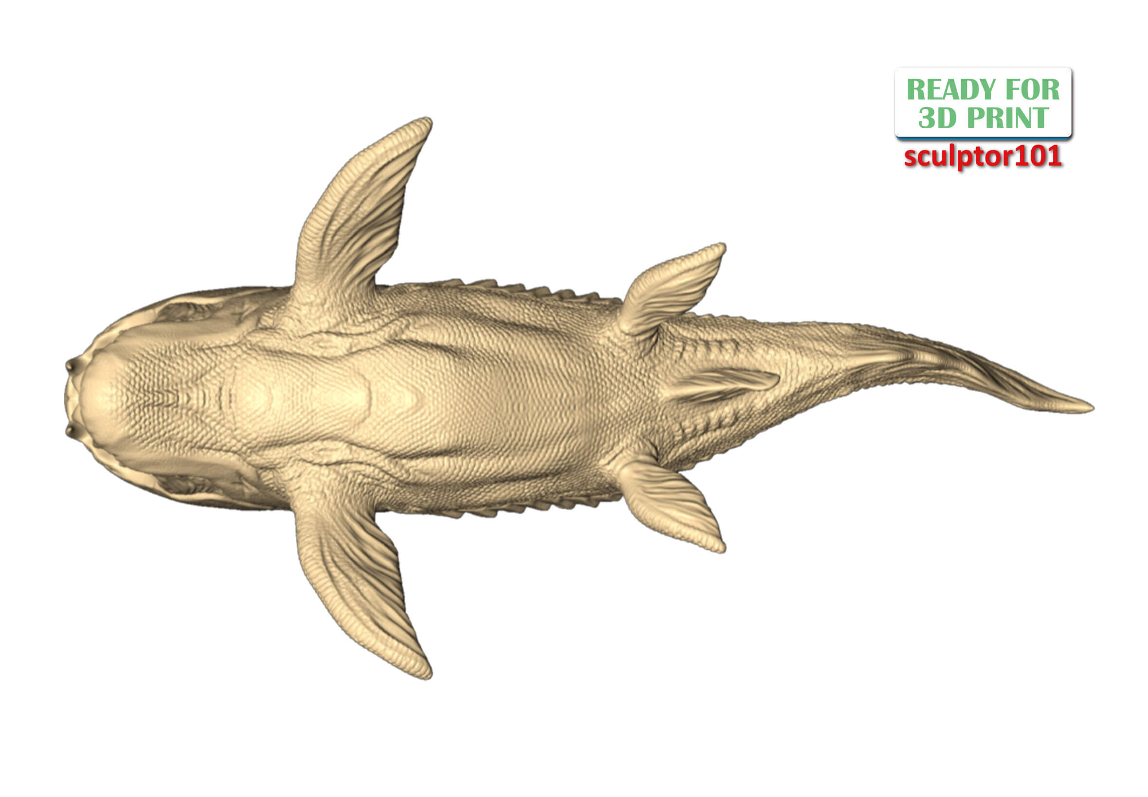 Dunkleosteus Drawing