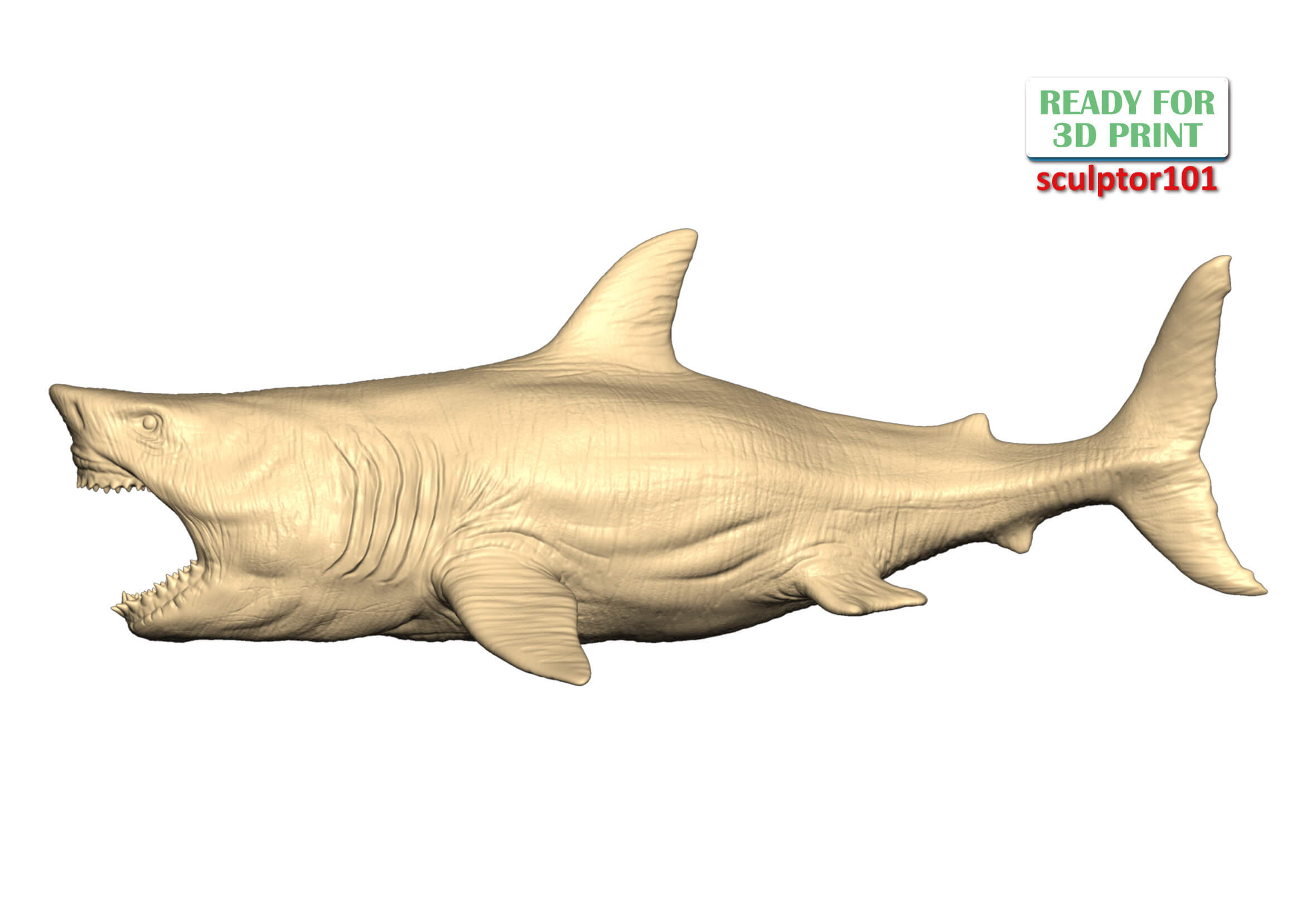 Walking With Dinosaurs Megalodon