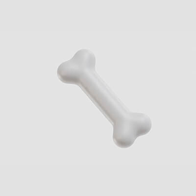 Bone Human Medical - 3D Model by sdfffg