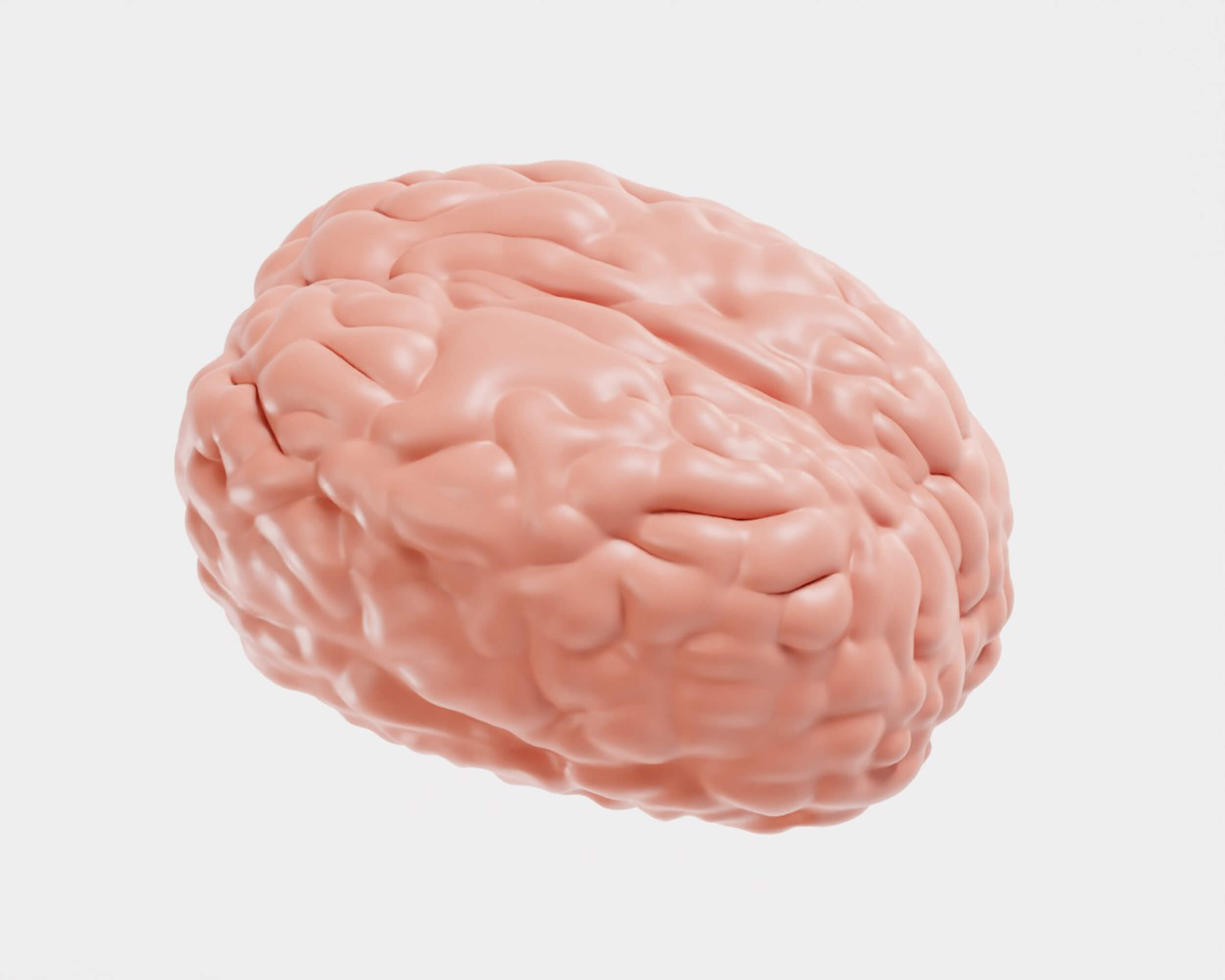 Brain Human Body Part - 3D Model by sdfffg