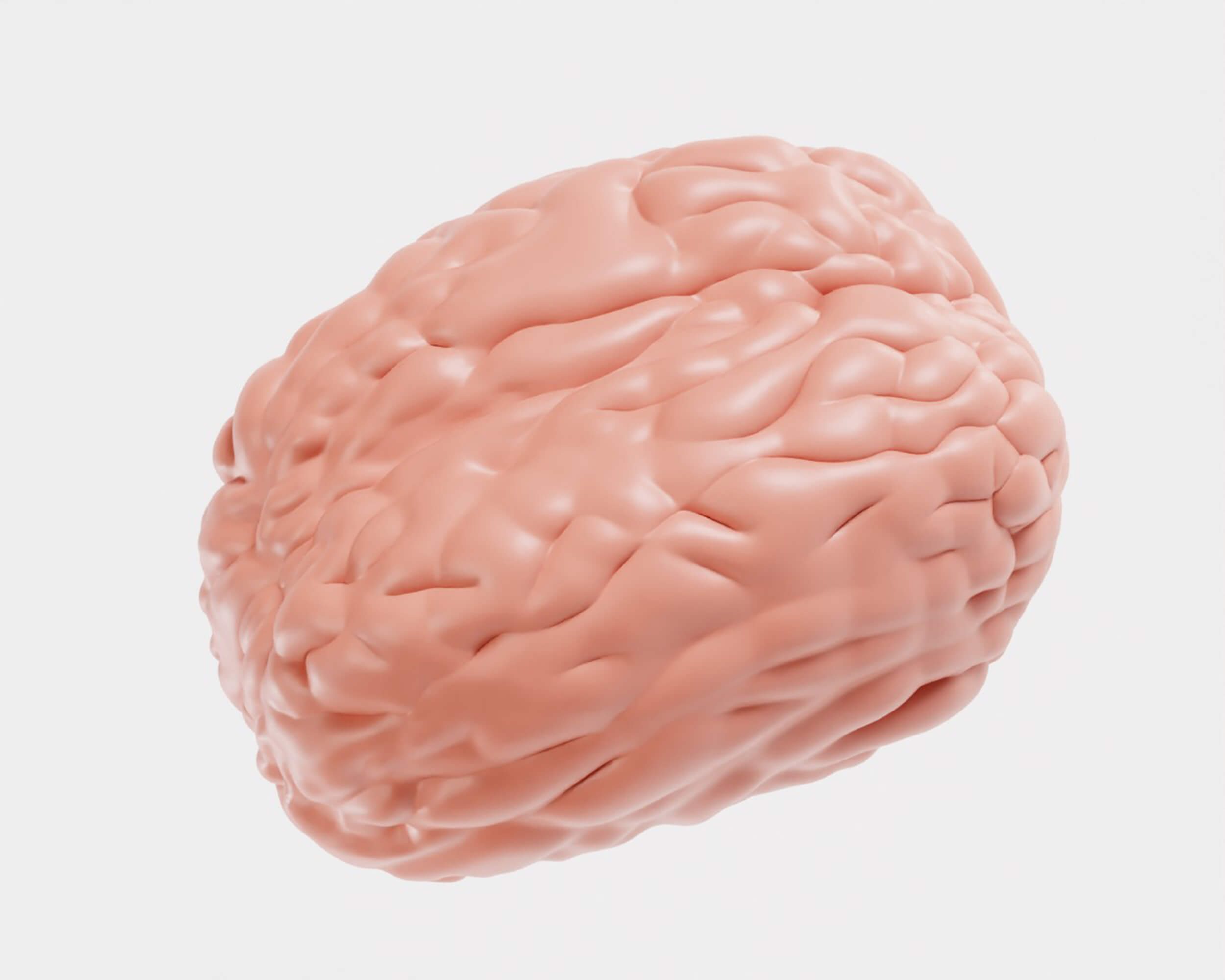 Brain Human Body Part - 3D Model by sdfffg
