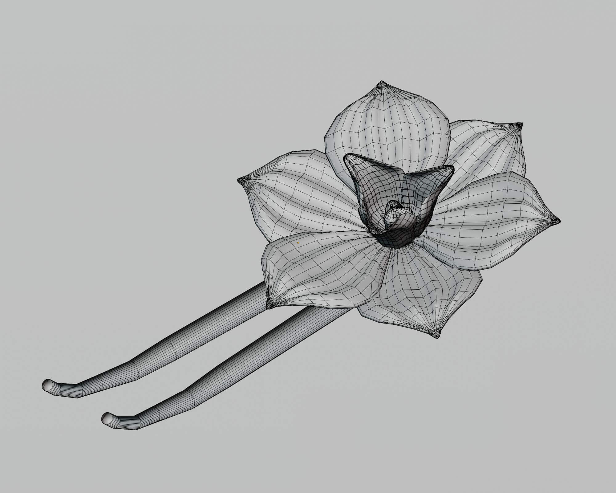 Vanilla Flower - 3D Model by sdfffg