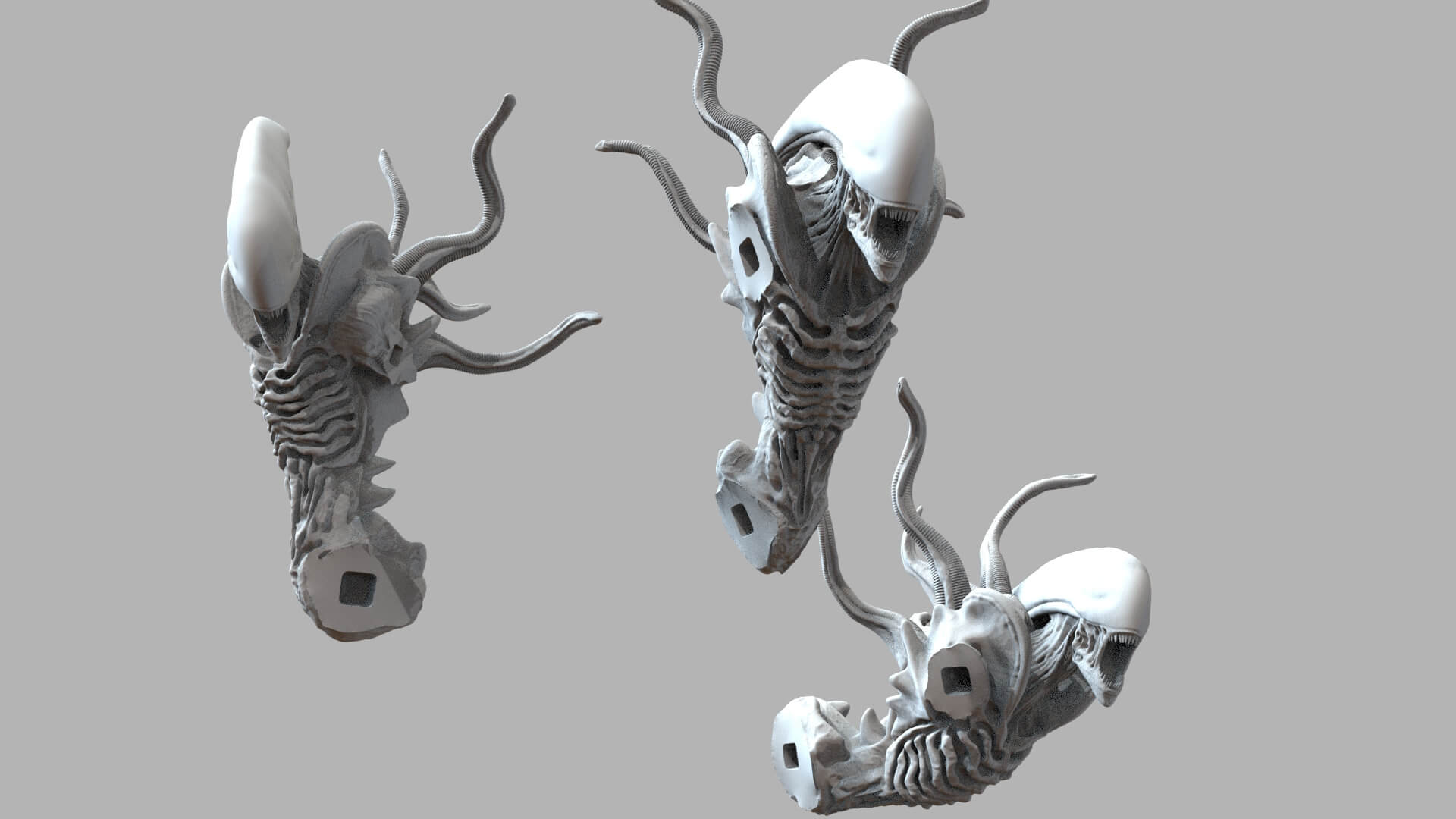 Alien Xenomorph Slenders With Eggs and Facehuggers - 3D Model by ...