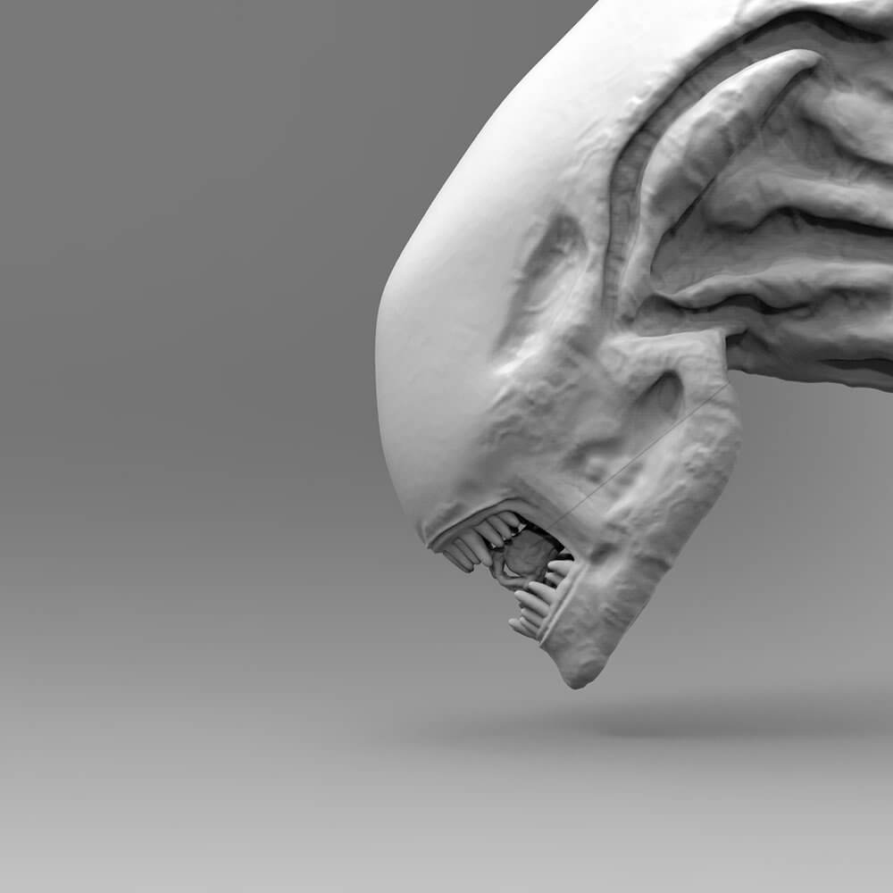 Alien Xenomorph with Hatched Eggs - 3D Model by seanguerrez