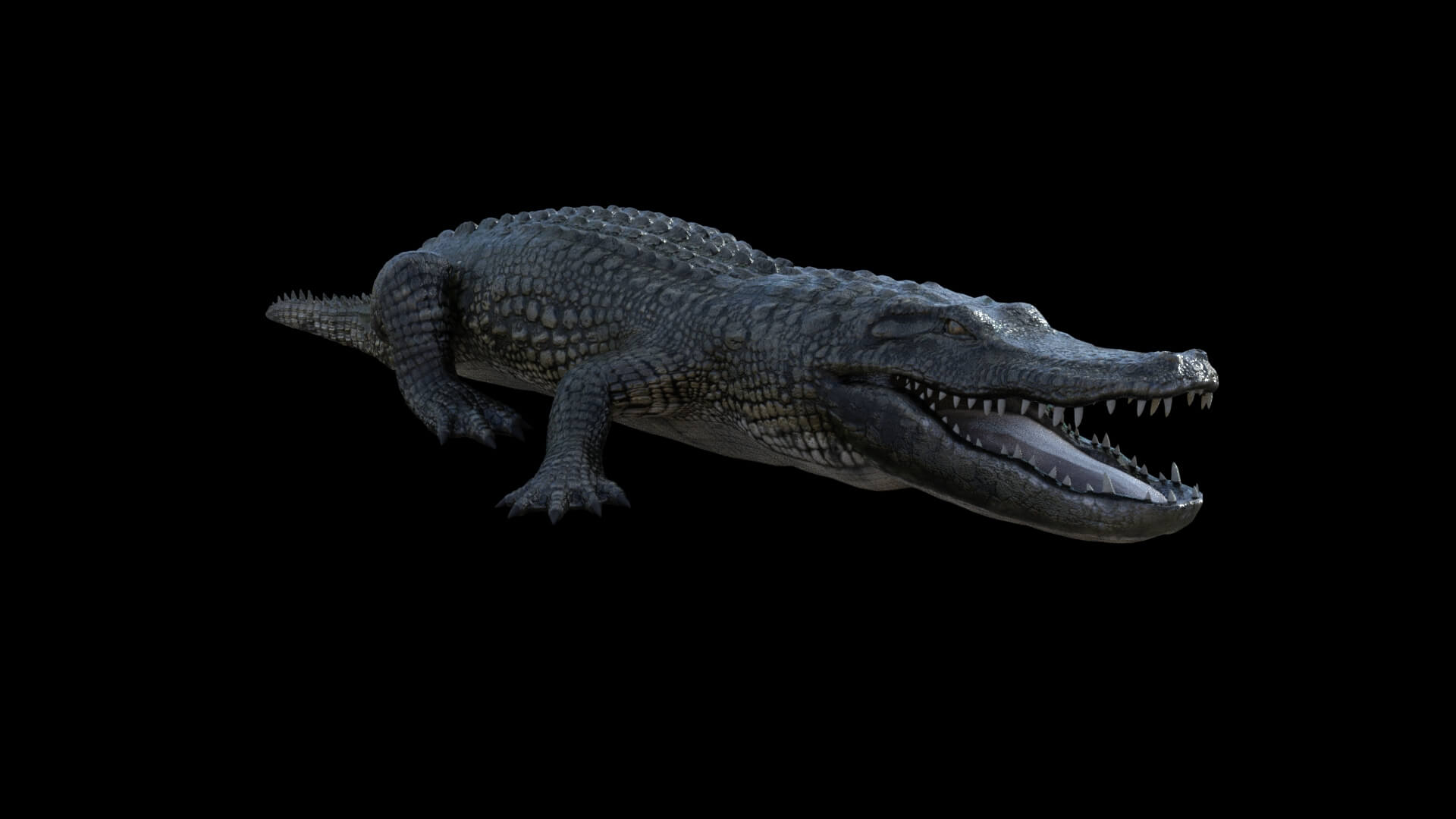 Alligators 3D Print Model Bundle by seb88120