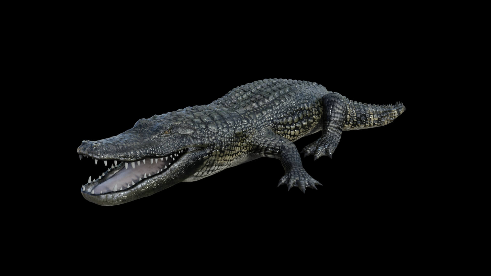 Aligator 03 - 3D Print Model by seb88120
