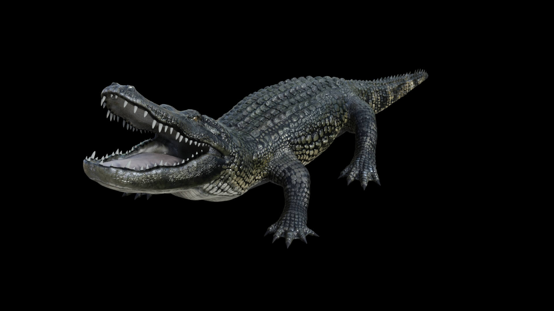 Aligator 02 Print 3D Model by seb88120
