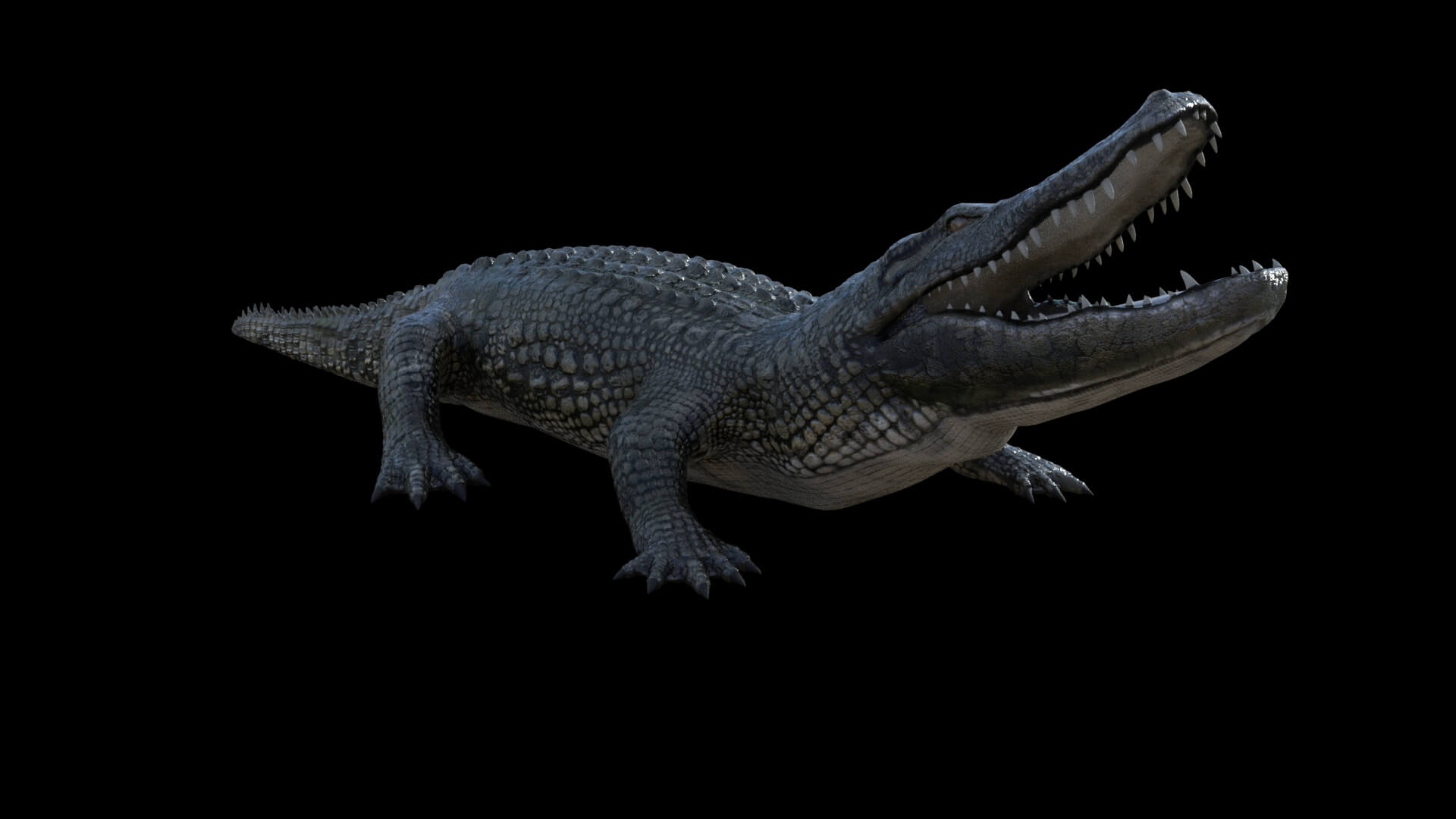 Aligator 02 Print 3D Model by seb88120