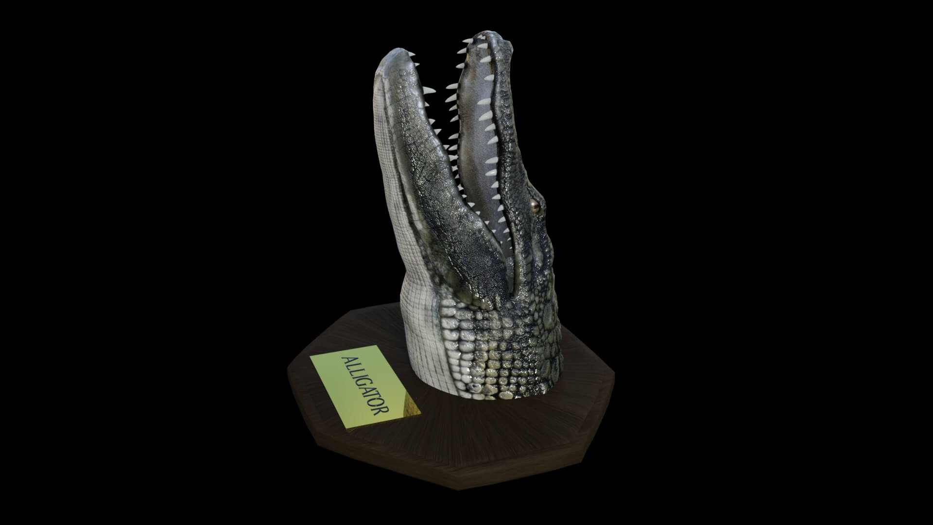 Alligators 3D Print Model Bundle by seb88120
