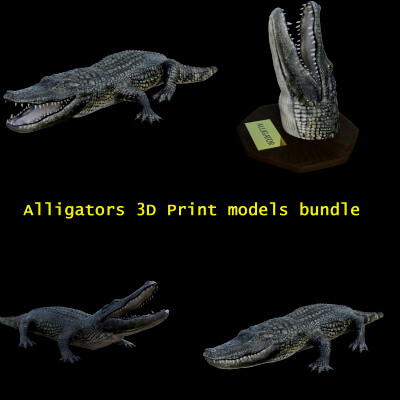 Models for 3D Printing at RenderHub