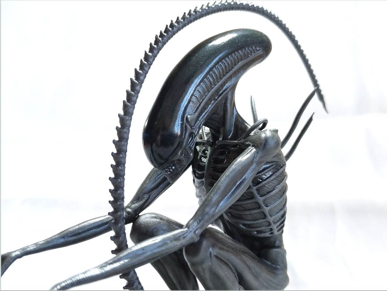 Alien (Praetomorph) - 3D Model by Sepet