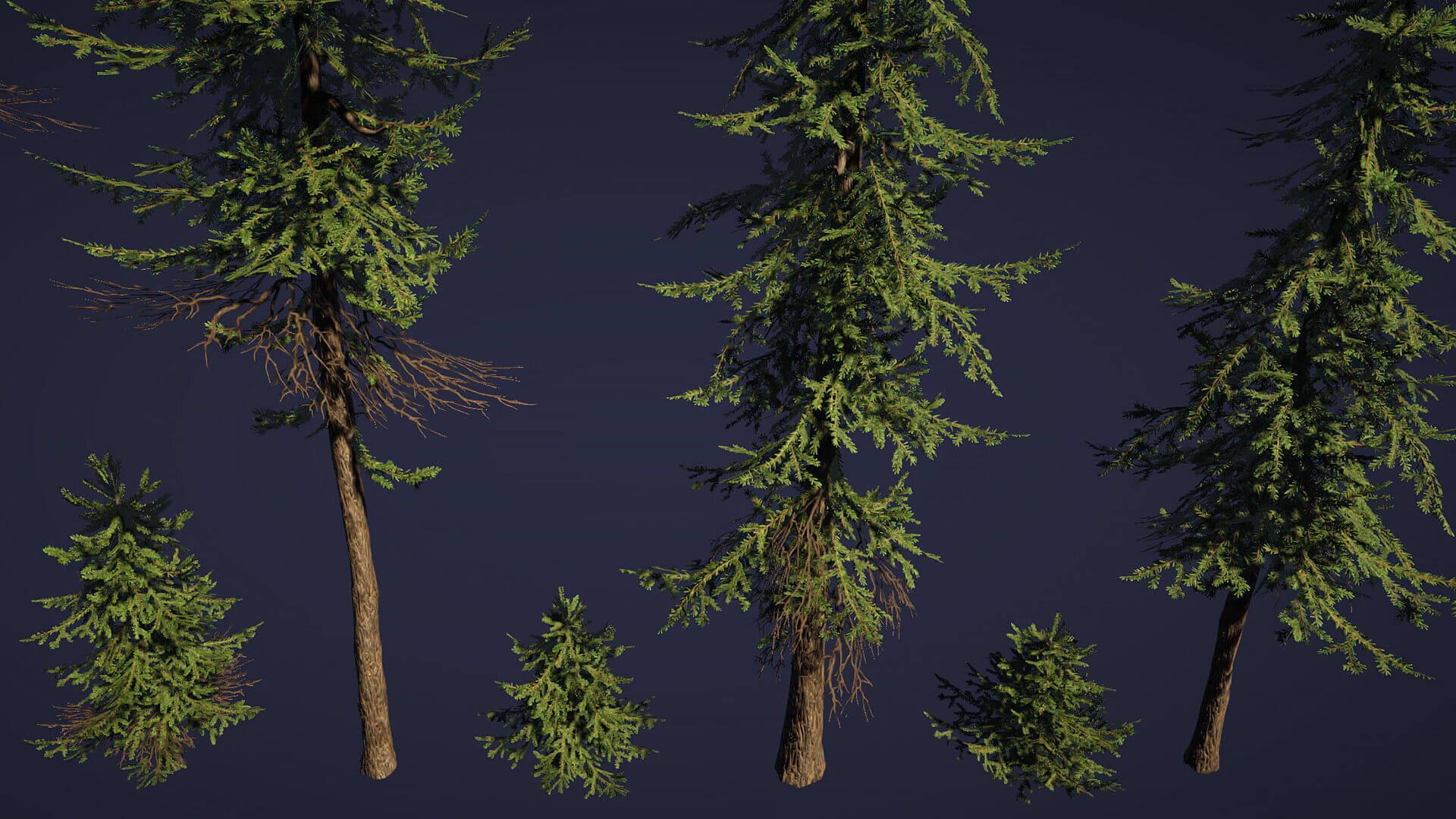 Douglas Firs Pack - 3D Model by seriouscat
