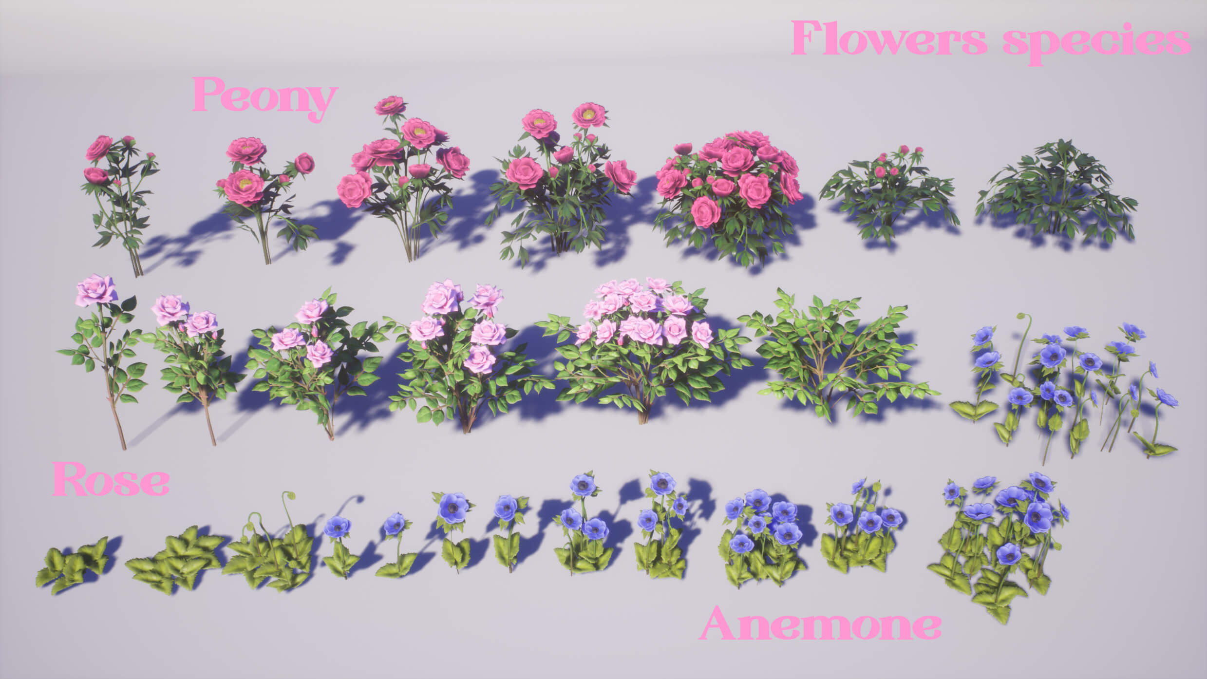 Flowers Pack - 3D Model by seriouscat