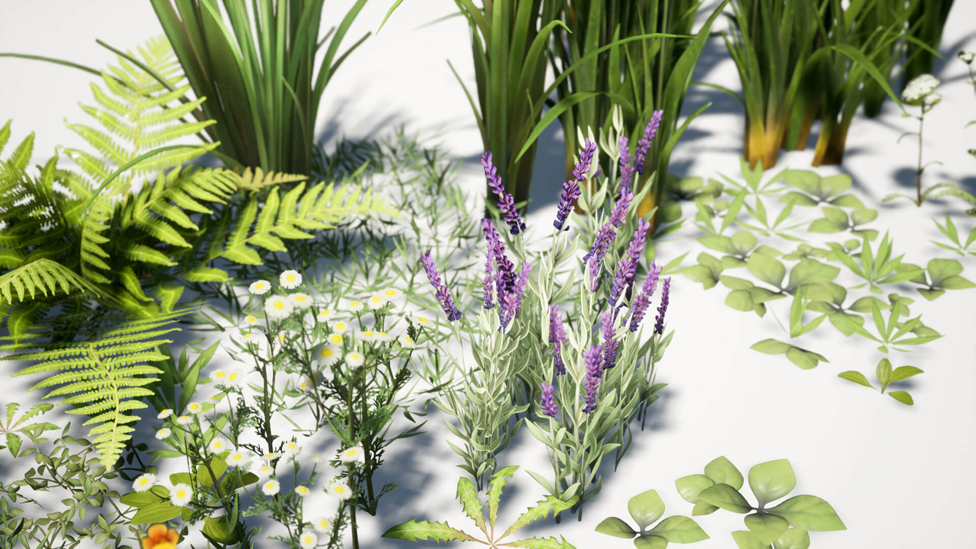 Grass Field Pack - 3D Model by seriouscat