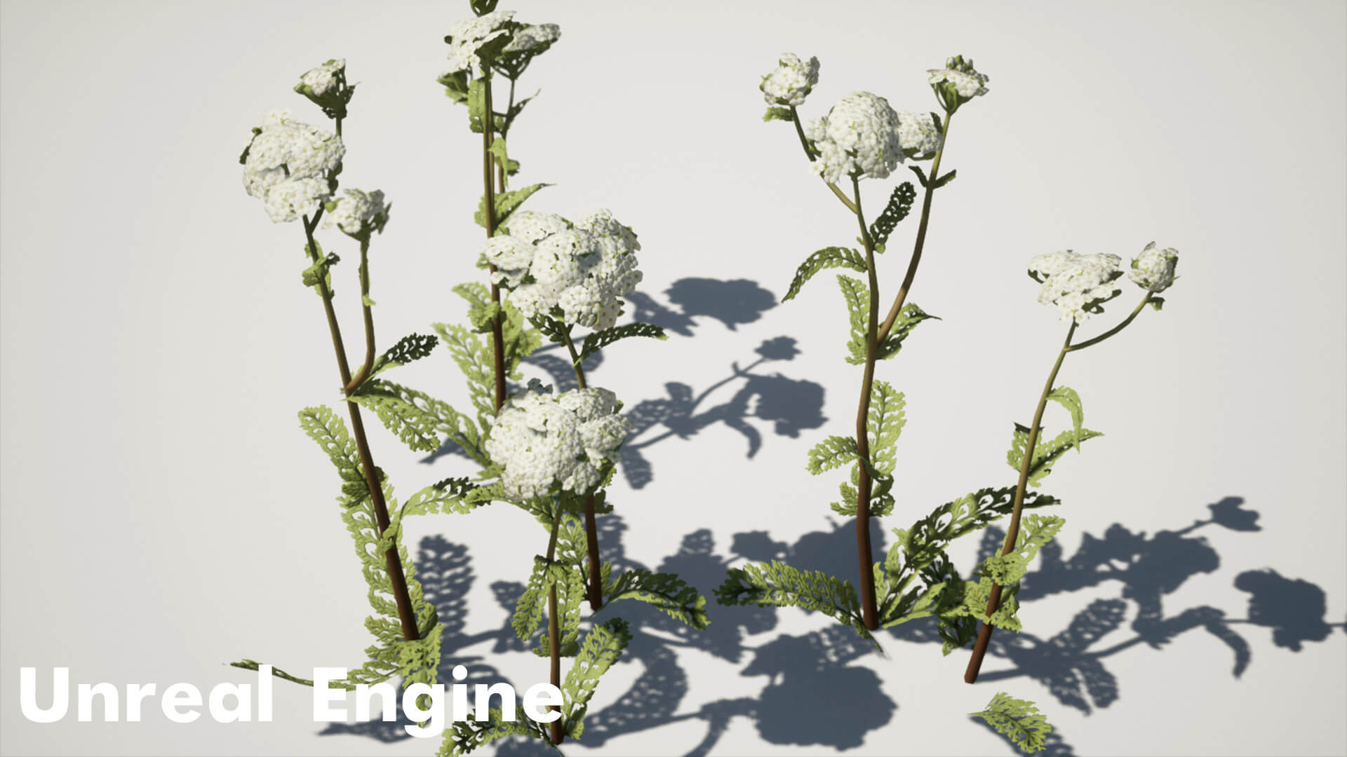 Grass Field Pack - 3D Model by seriouscat