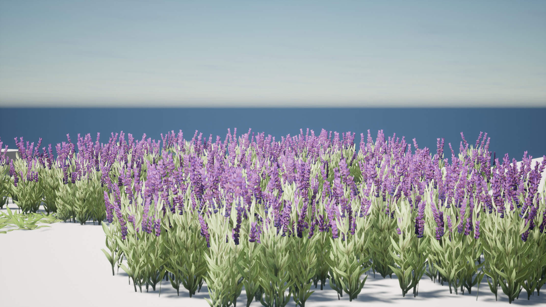 Grass Field Pack - 3D Model by seriouscat