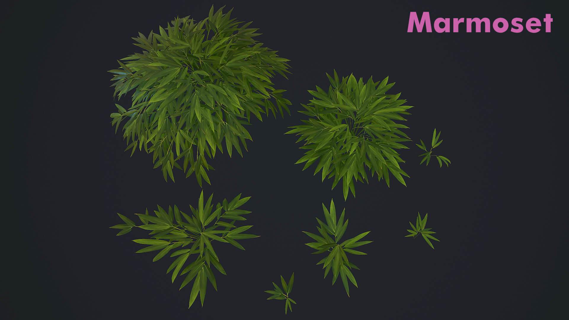 Bamboo Bush Pack - 3D Model by seriouscat