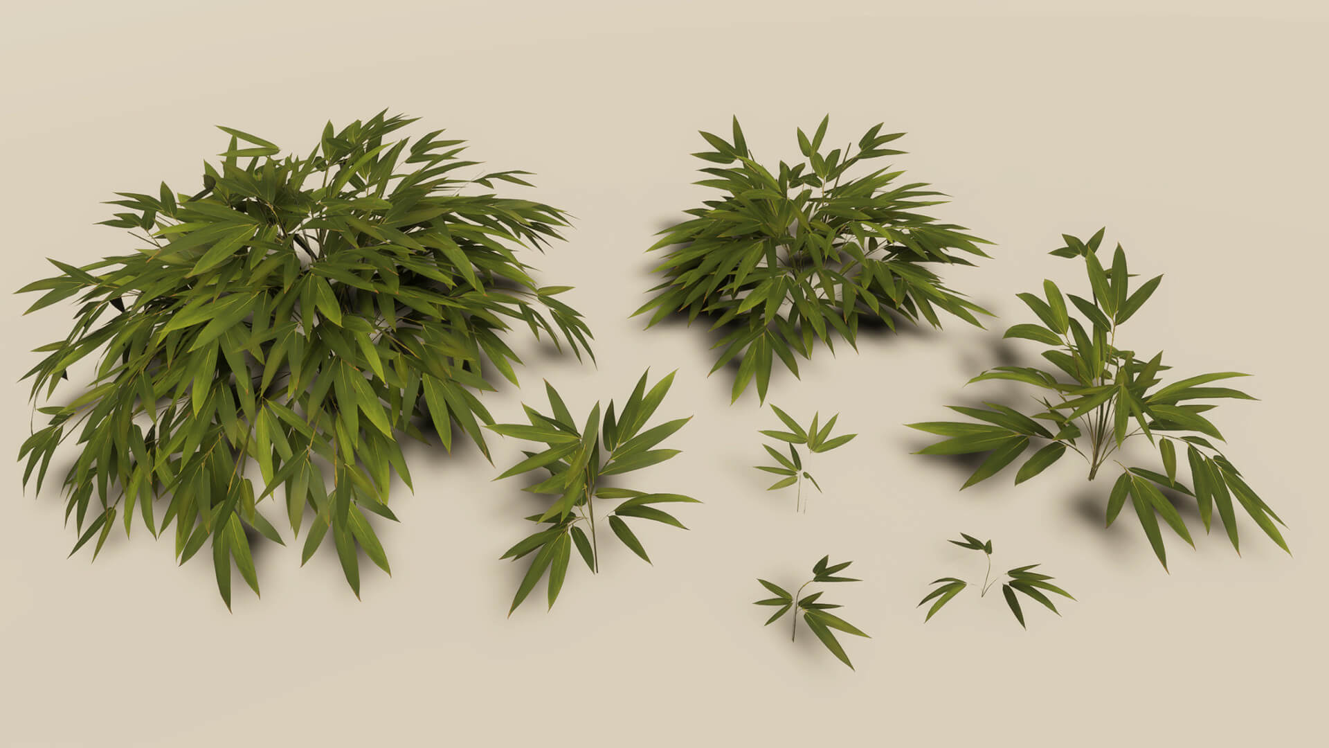 Bamboo Bush Pack - 3D Model by seriouscat