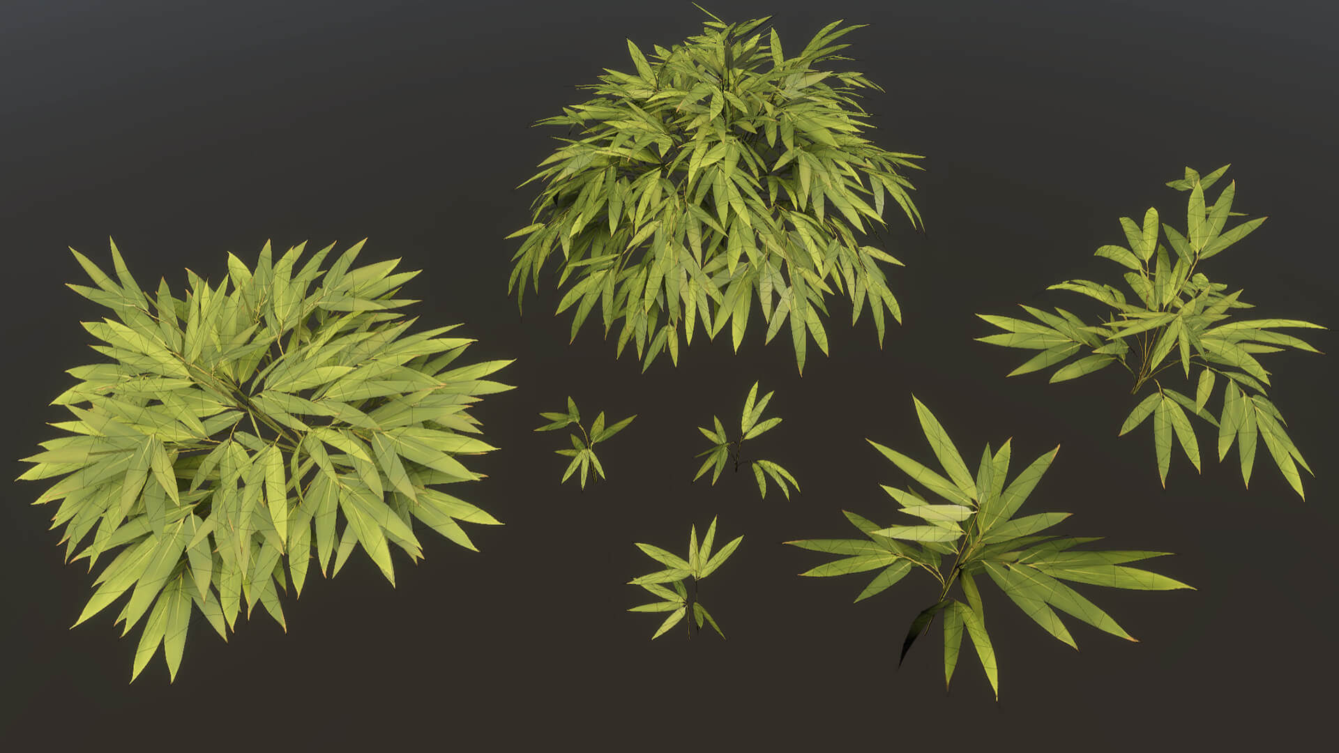 Bamboo Bush Pack - 3D Model by seriouscat