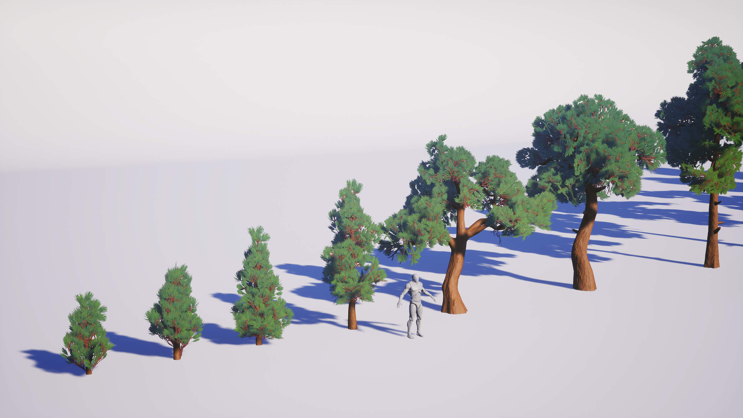 Simple Pines Pack - 3D Model by seriouscat