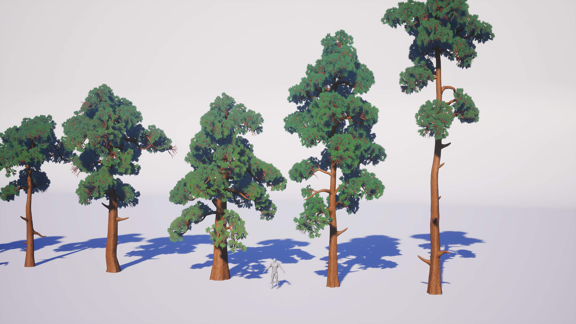 Simple Pines Pack - 3D Model by seriouscat