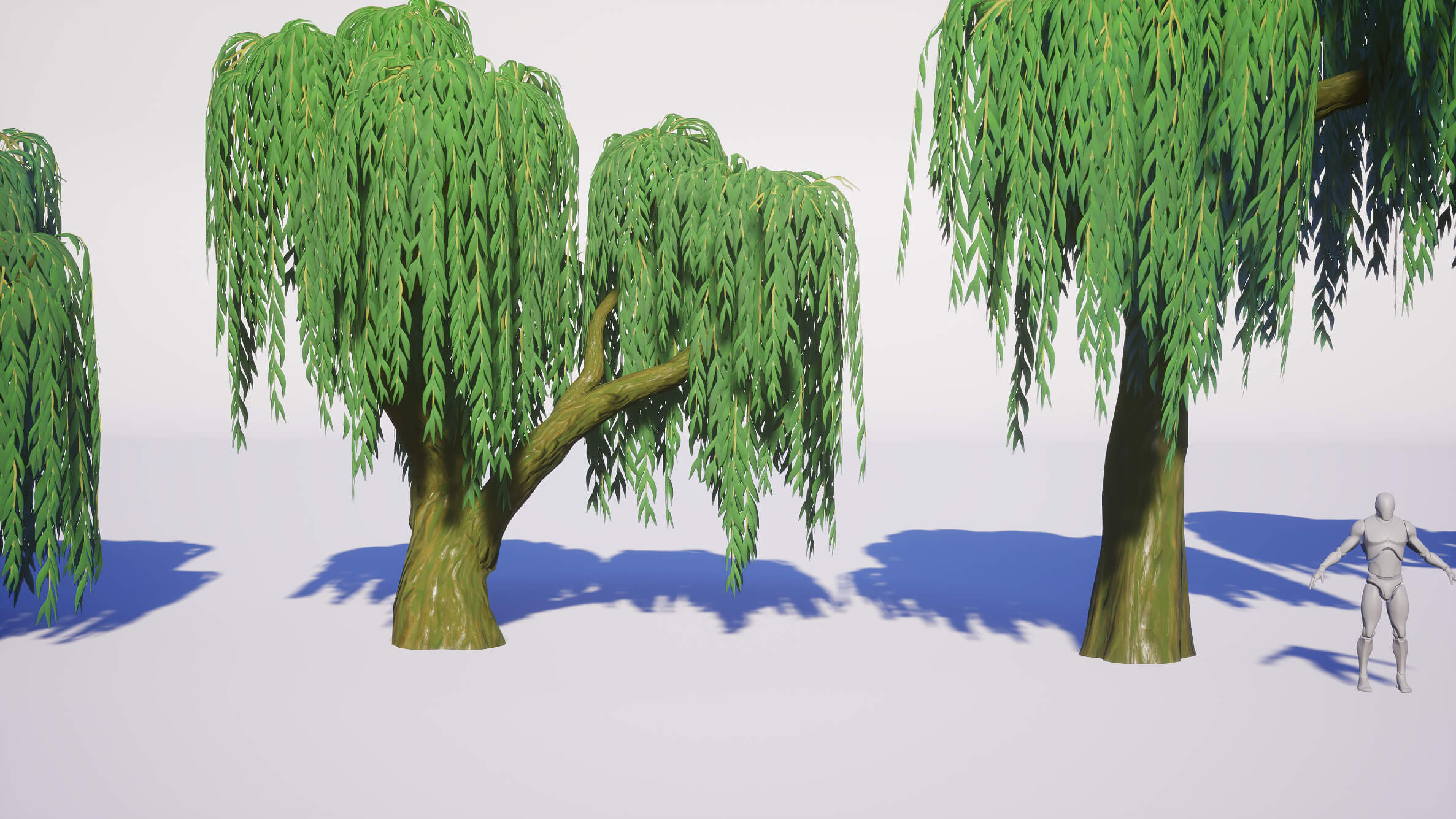 Simple Willows Pack - 3D Model by seriouscat